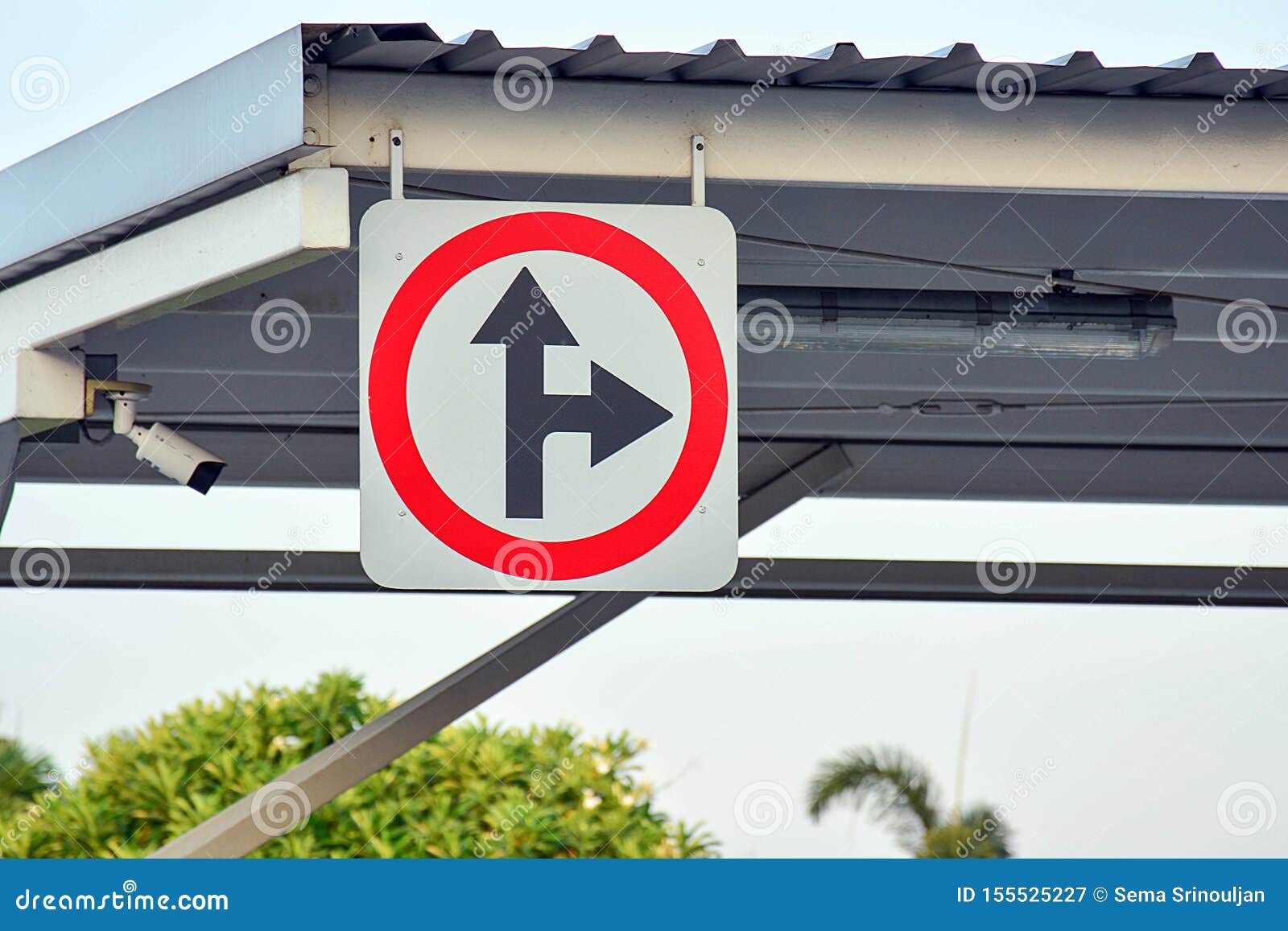 Turn Right and Go Straight Traffic Sign in the Park Stock Image - Image ...
