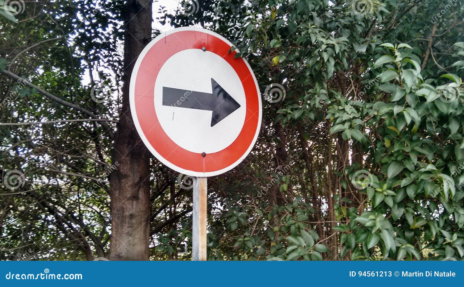 Turn right stock image. Image of turn, arrow, right, forest - 94561213