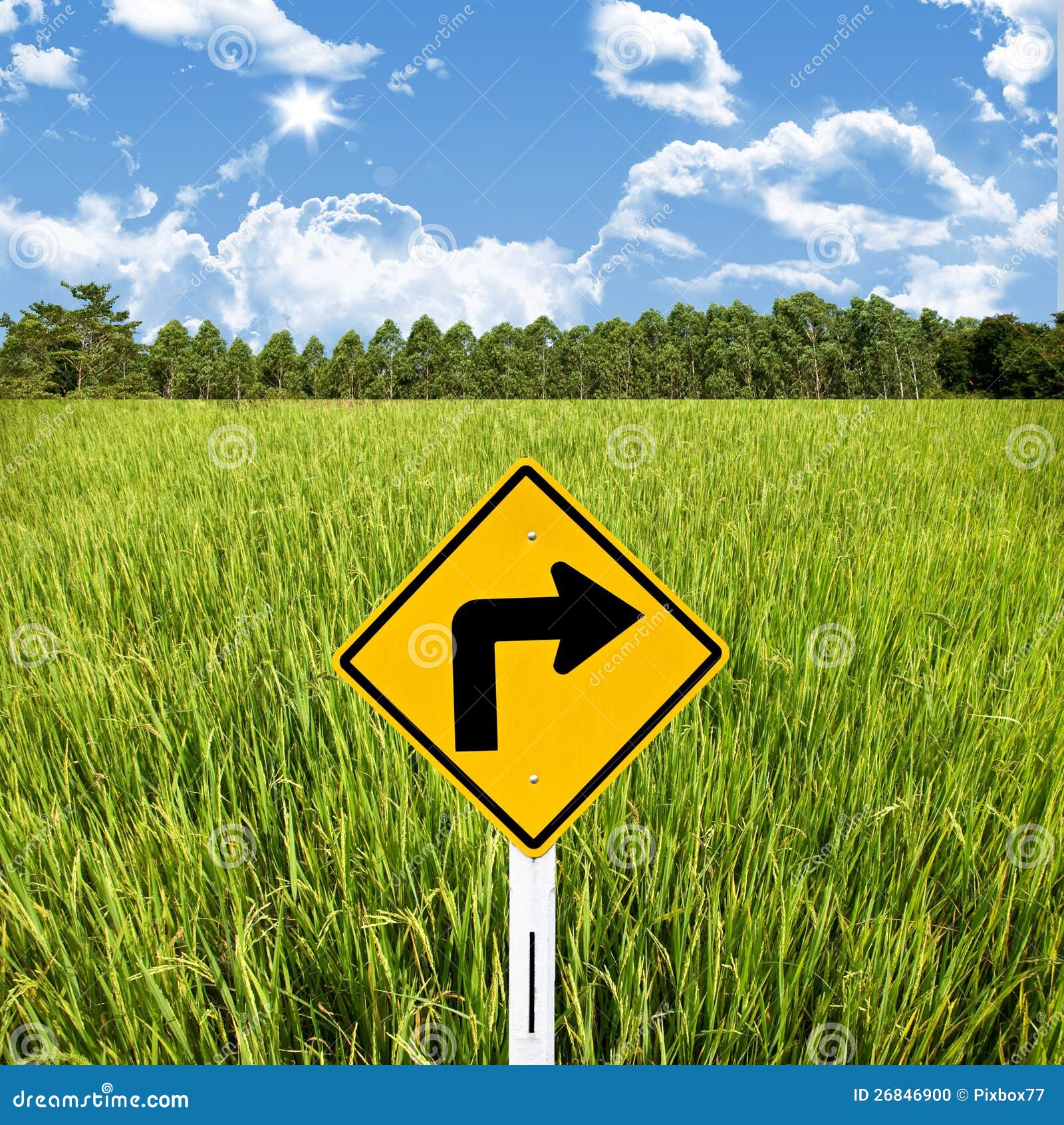 Turn Right Sign with Rice Field Stock Photo - Image of nature, field ...