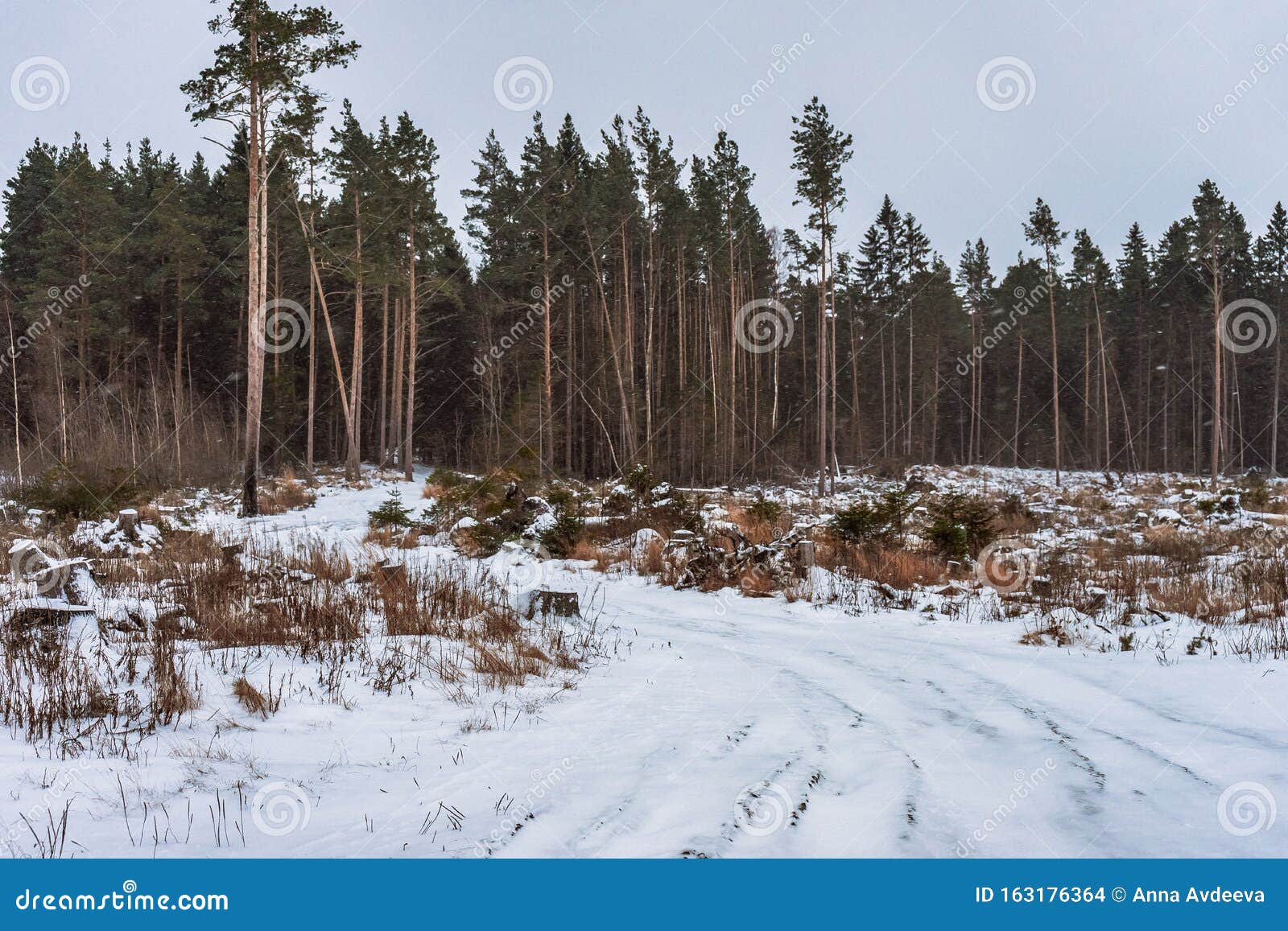 Turn on a Rural Road in Snow through a Winter Field Stock Photo - Image ...