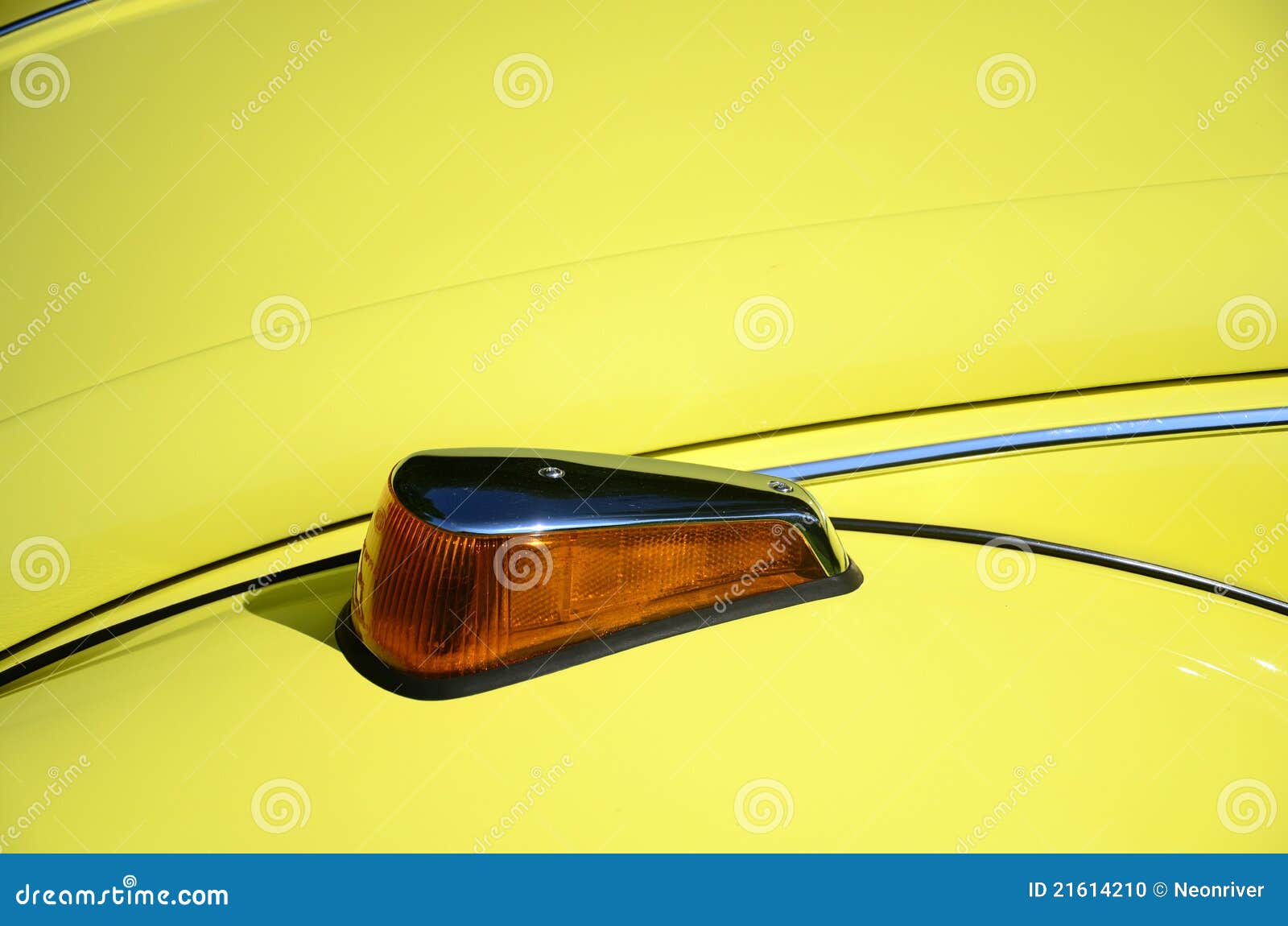 Turn Signal stock photo. Image of signal, paint, auto - 21614210