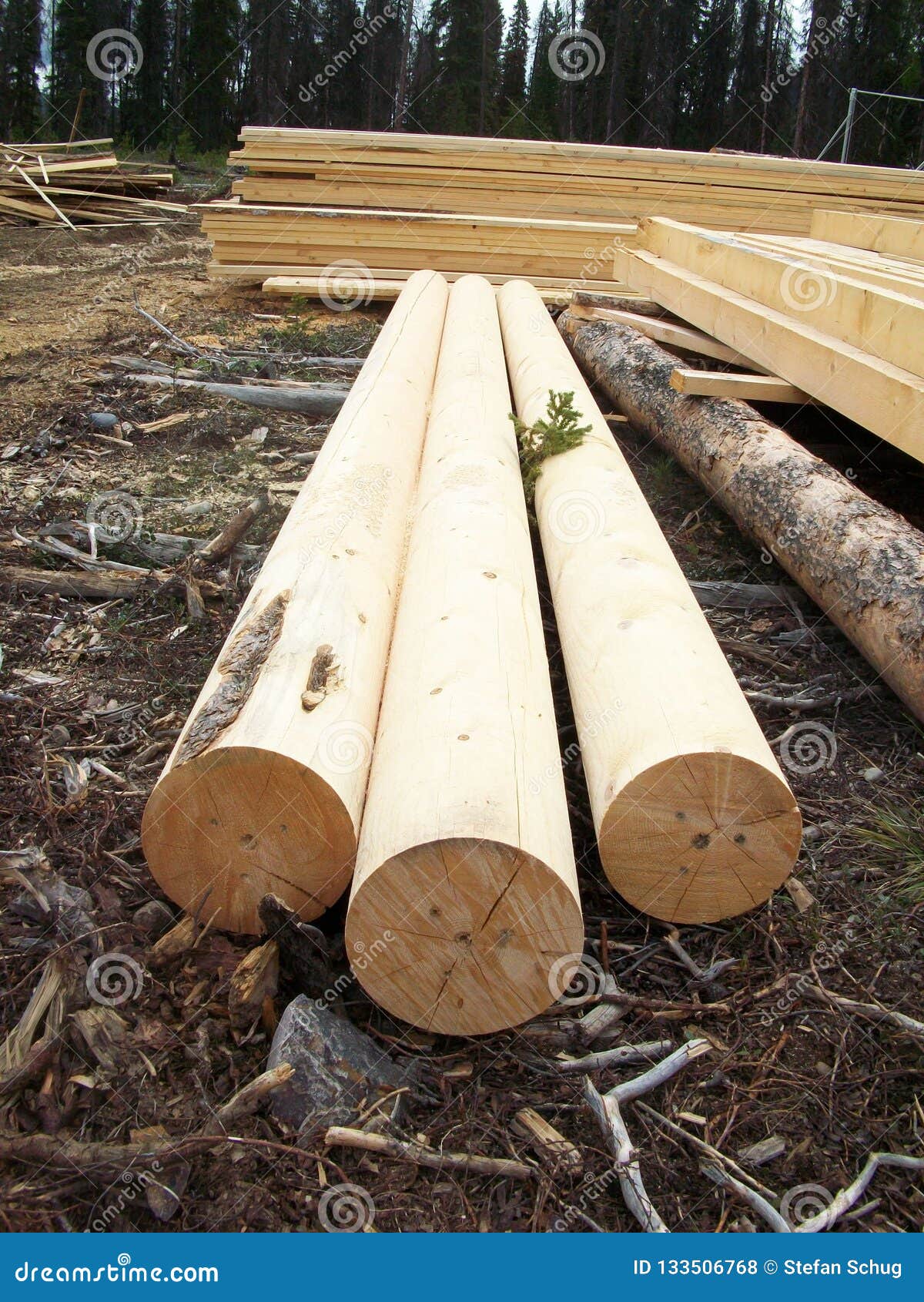 Turned Equalized Timbers - Rounded Logs Stock Photo - Image of rounded ...