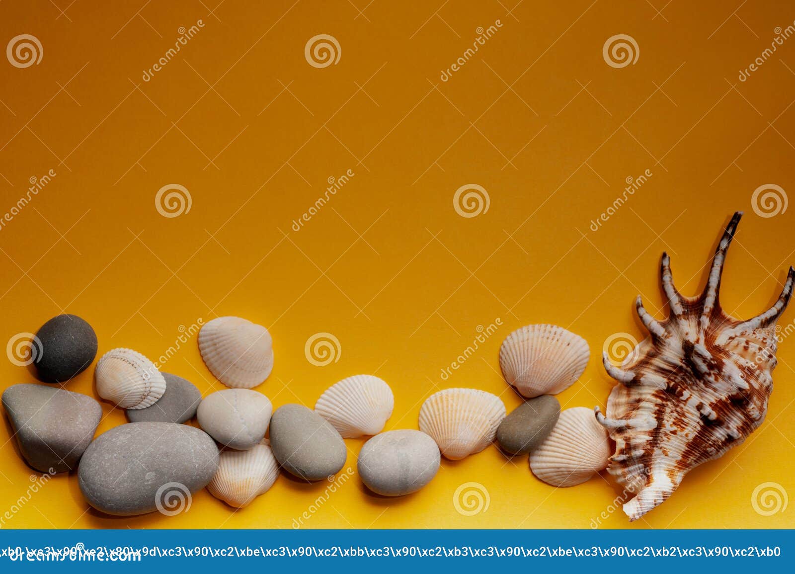 Turned Round Stones and Shells on a Yellow Background Stock Image ...
