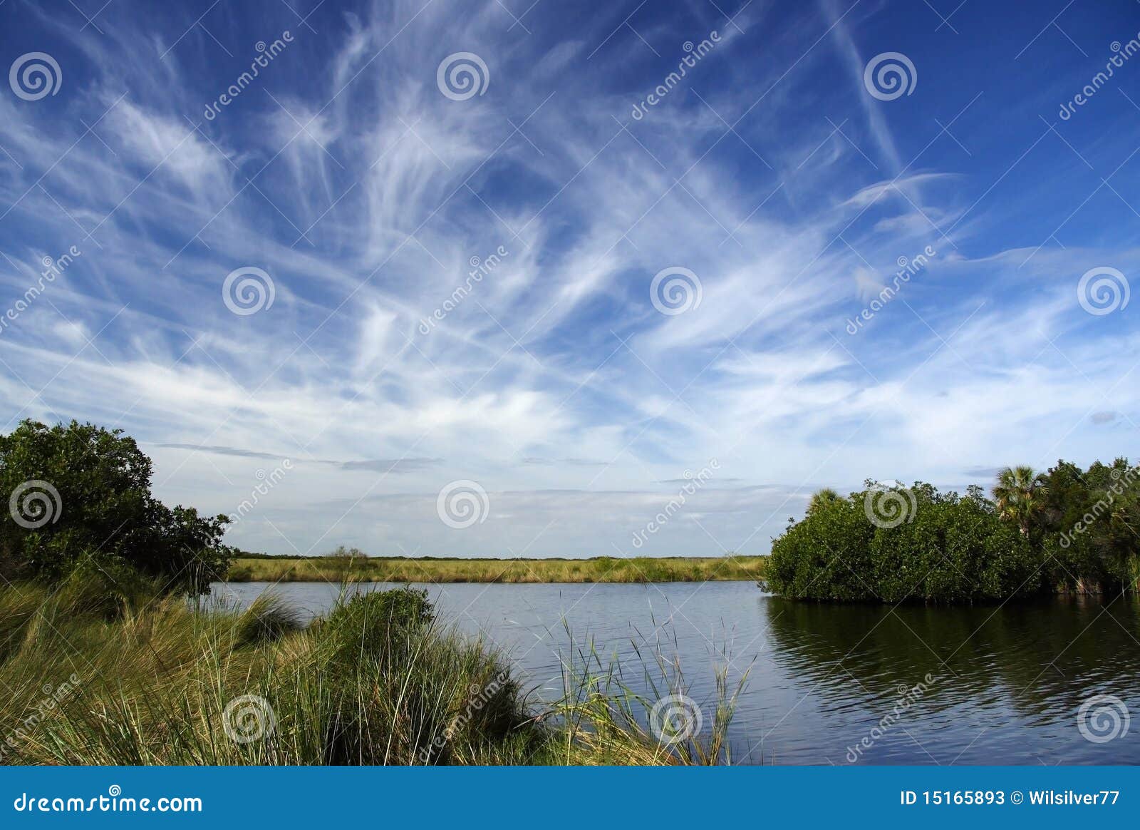Turner River stock image. Image of cirrus, river, creek - 15165893