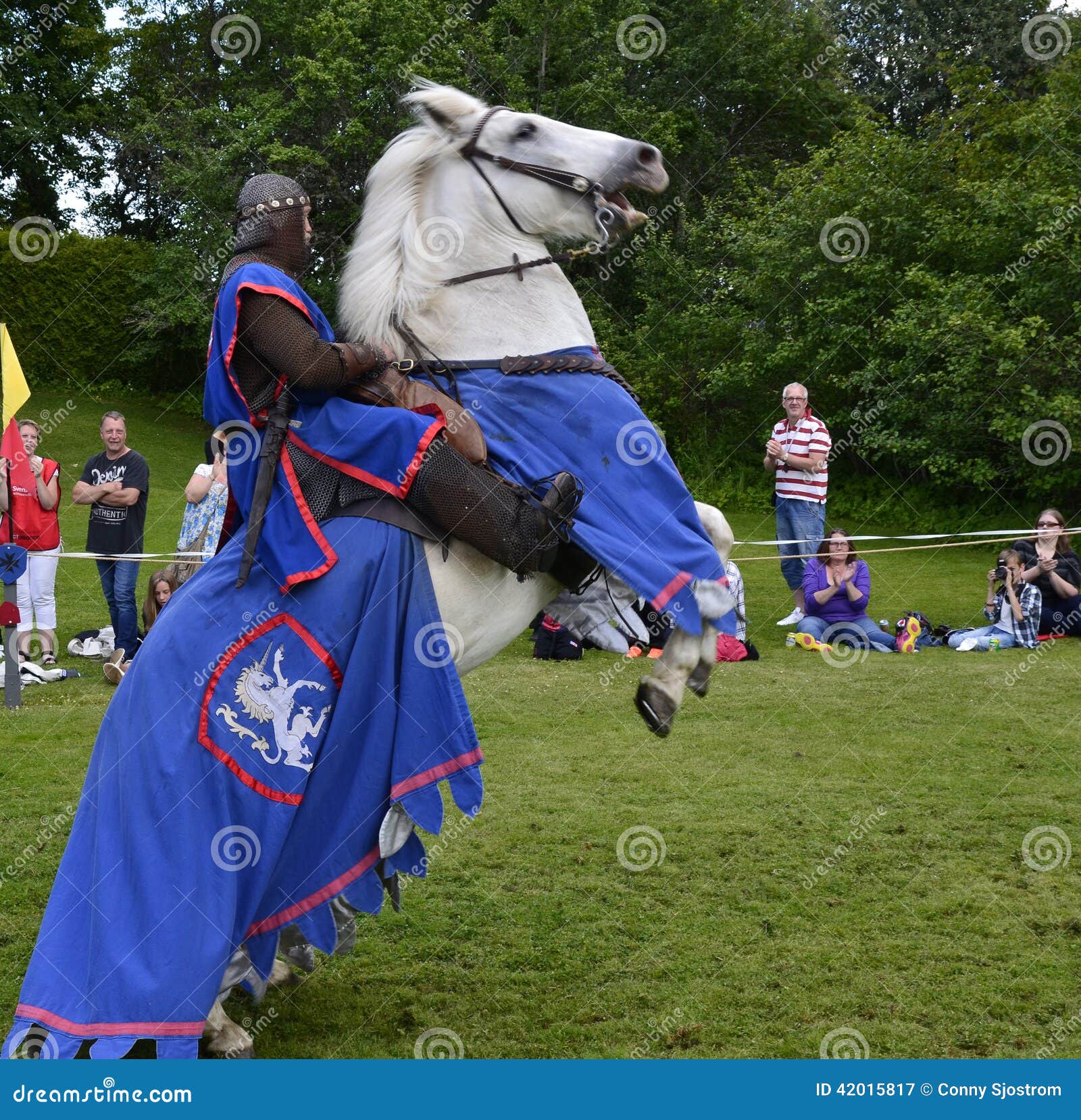 Turnering för 2 riddare redaktionell arkivbild. Bild av juni - 42015817