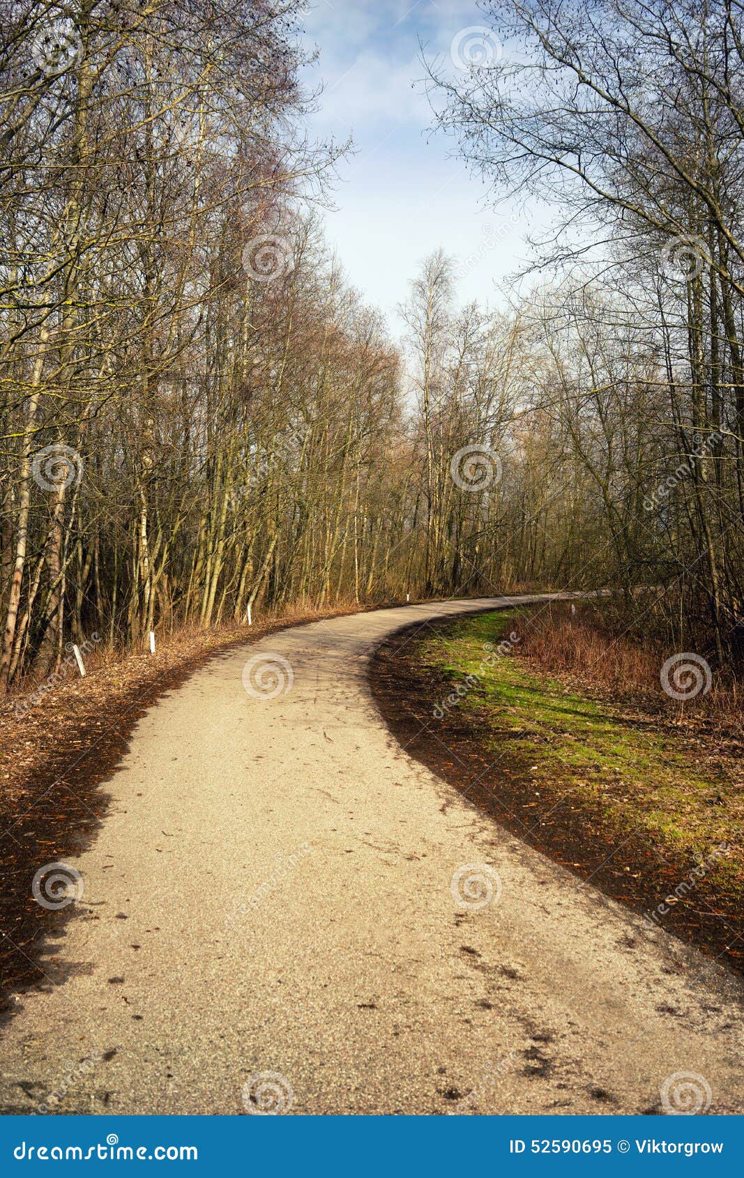 Turning the Asphalt Road in Spring Forest Stock Image - Image of blue ...