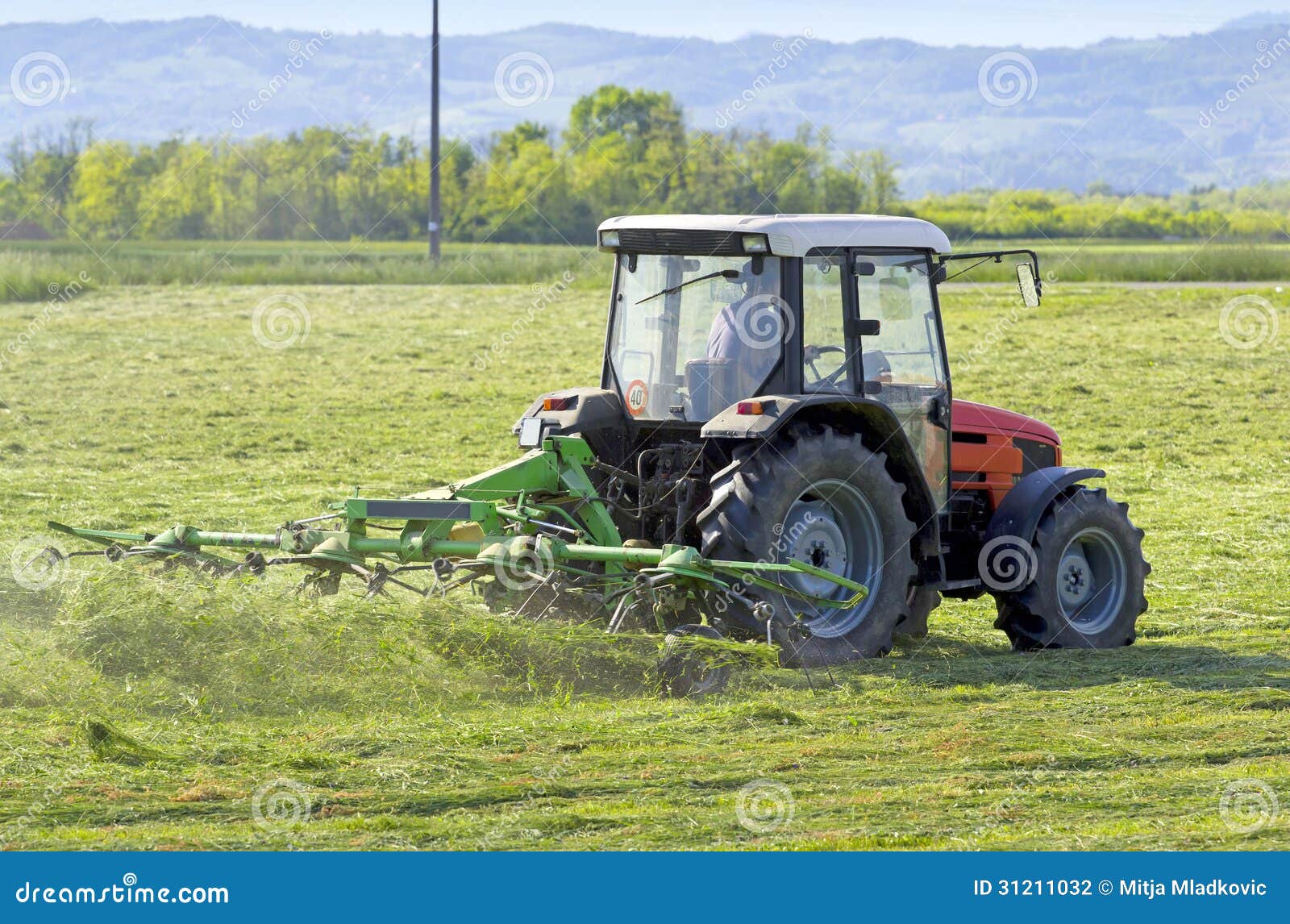 Turning cut hay stock photo. Image of harvest, dordogne - 31211032