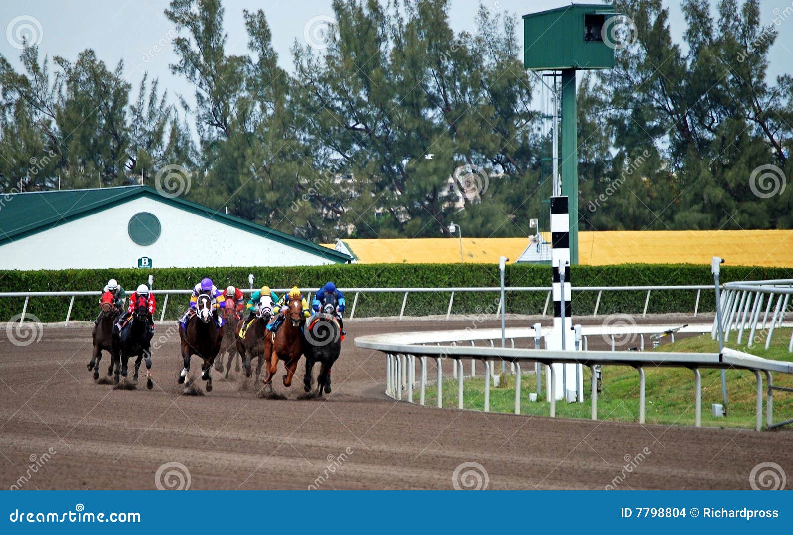 Turning into the Final Stretch Stock Photo - Image of horses, racing ...