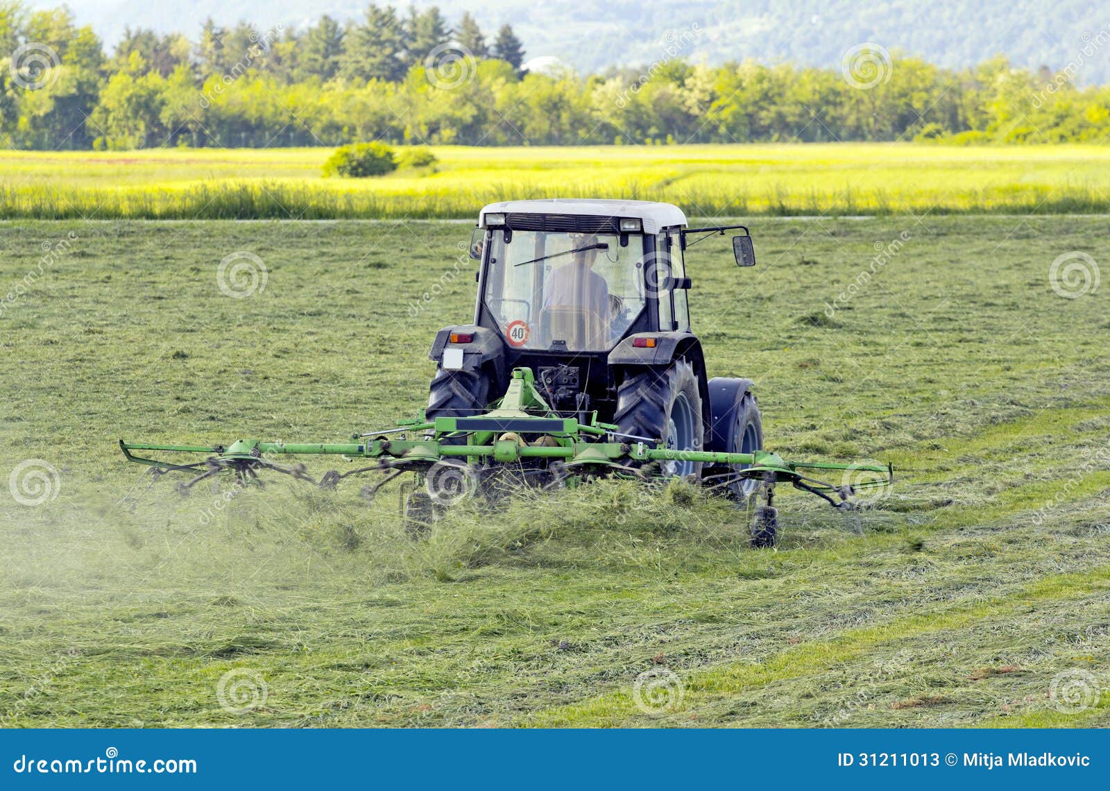 Turning hay stock image. Image of tractor, working, summer - 31211013
