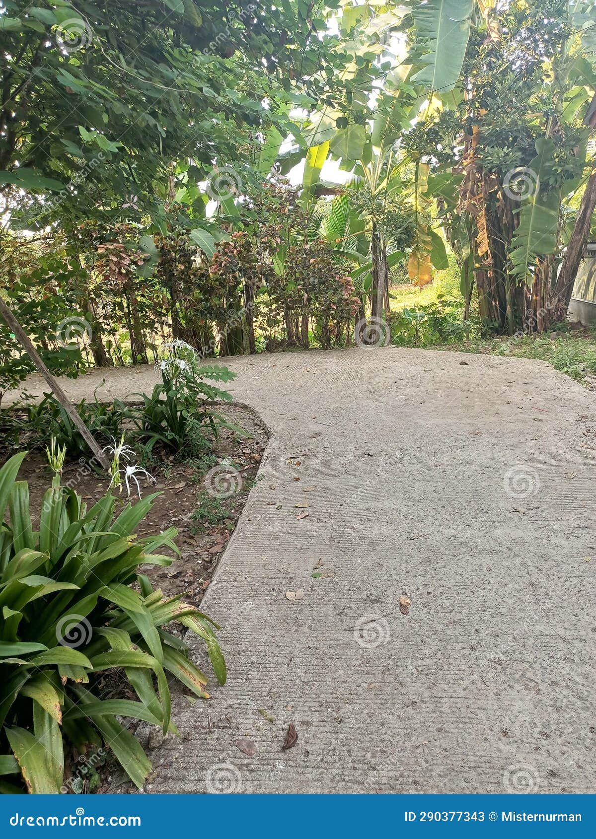 Turning Left, Small Road in a Kampong Stock Image - Image of left ...