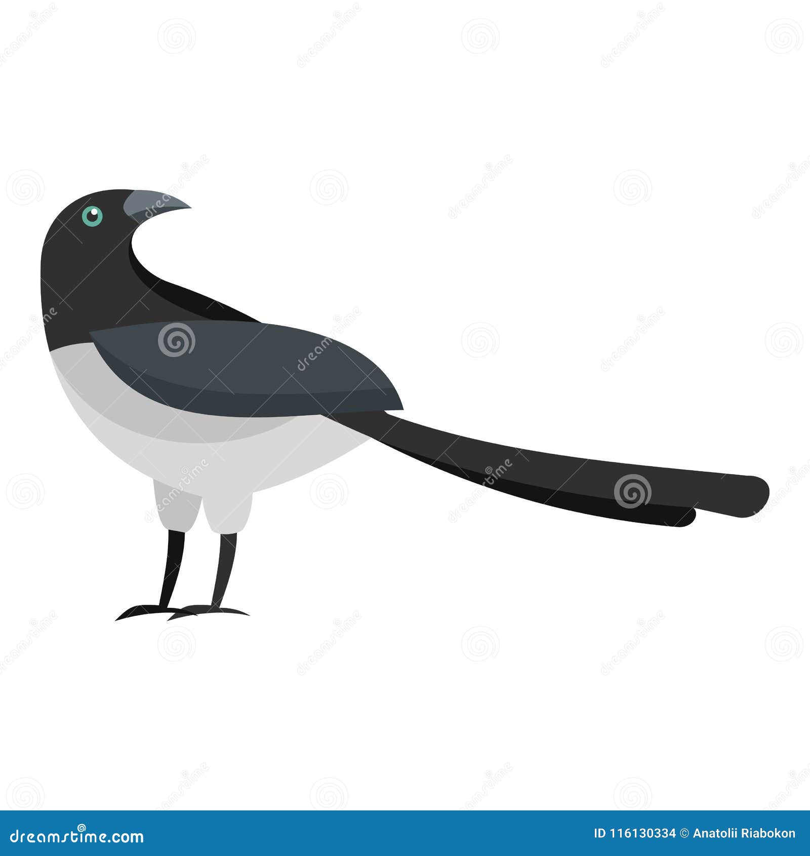 Turning Magpie Icon, Flat Style Stock Vector - Illustration of flock ...