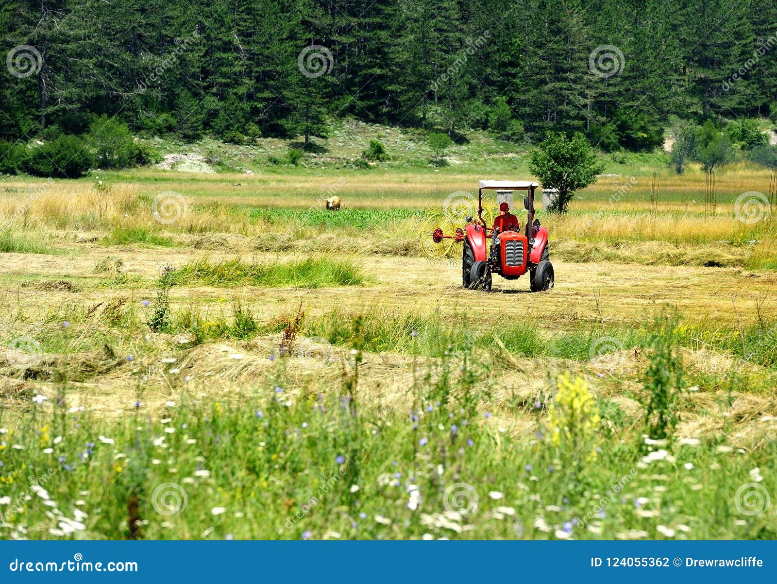 Turning over the harvest editorial photography. Image of fields - 124055362