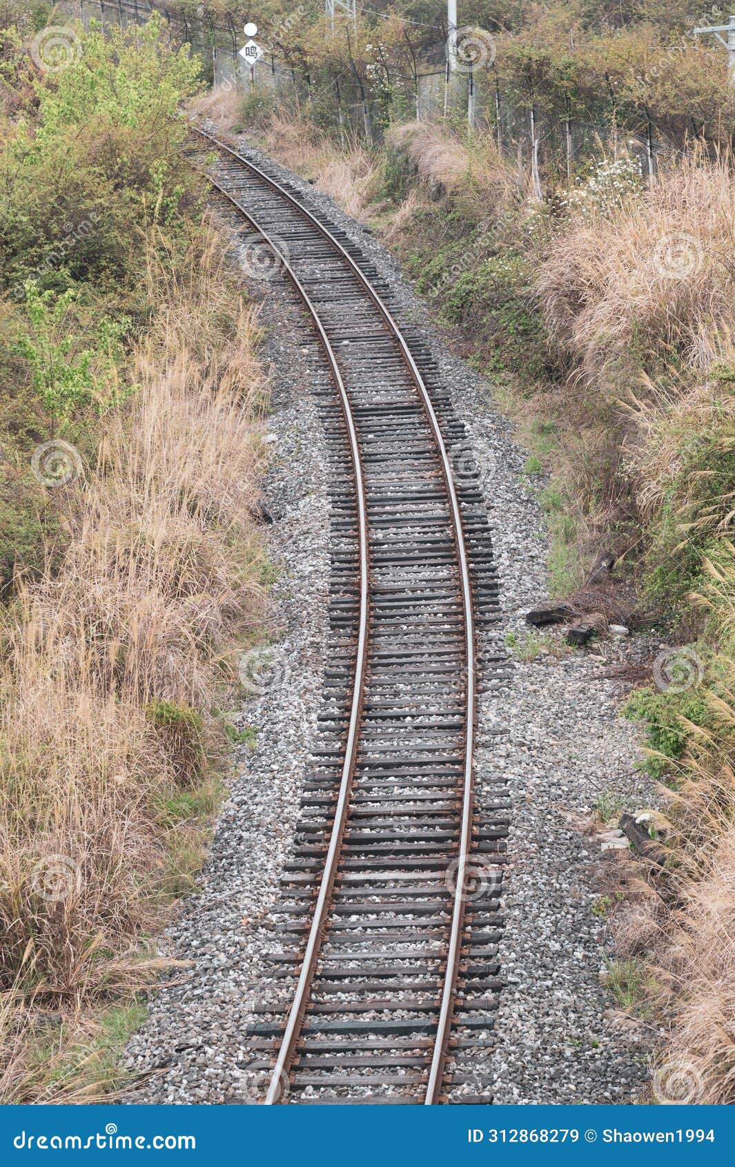 Railroad, train tracks. stock image. Image of industry - 312868279