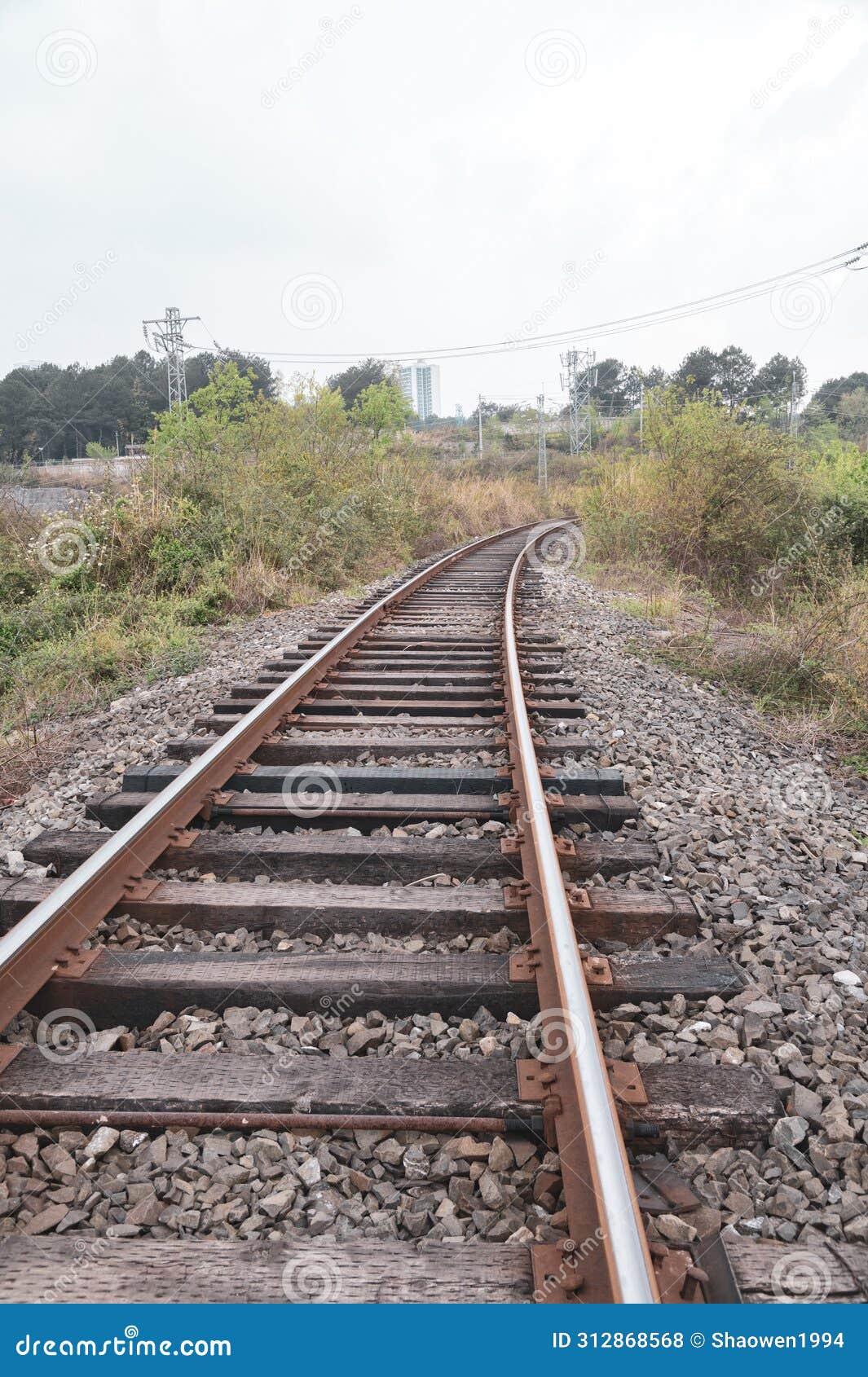 Railroad, train tracks. stock photo. Image of curve - 312868568