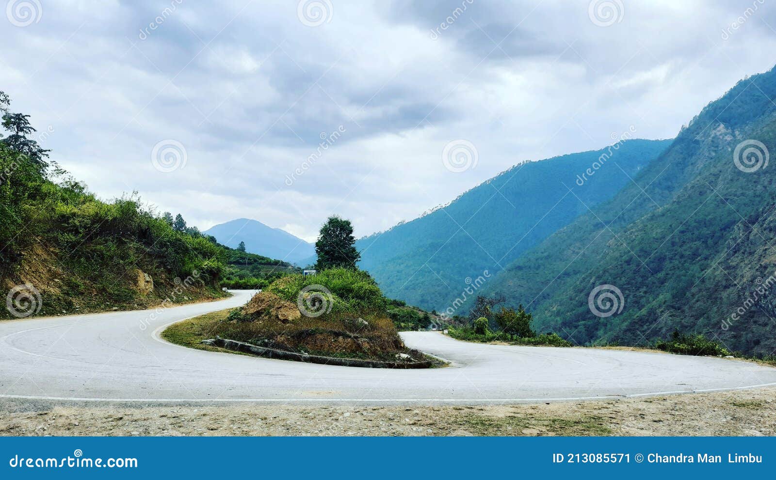 The turning road stock image. Image of nature, tree - 213085571