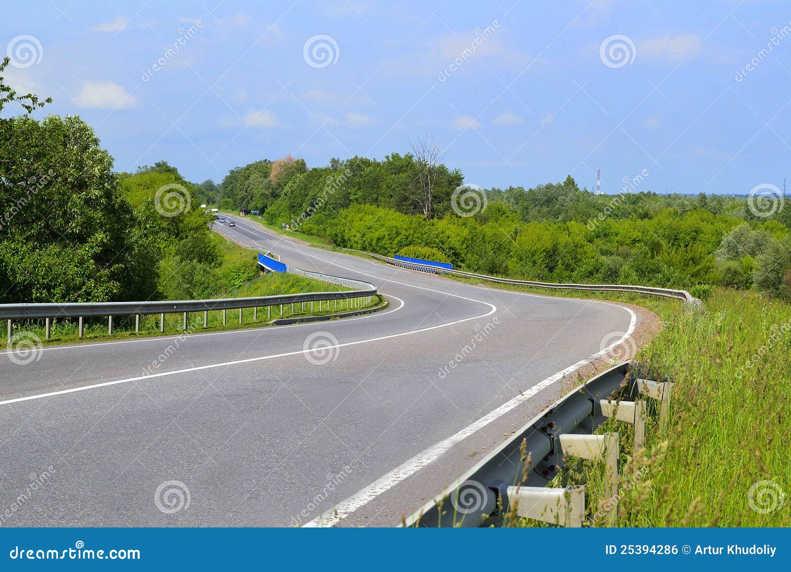 Turning of the road stock photo. Image of turn, plant - 25394286