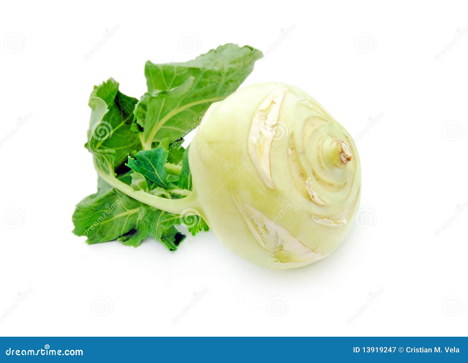 Turnip stock image. Image of nutrition, edible, vegetarian - 13919247