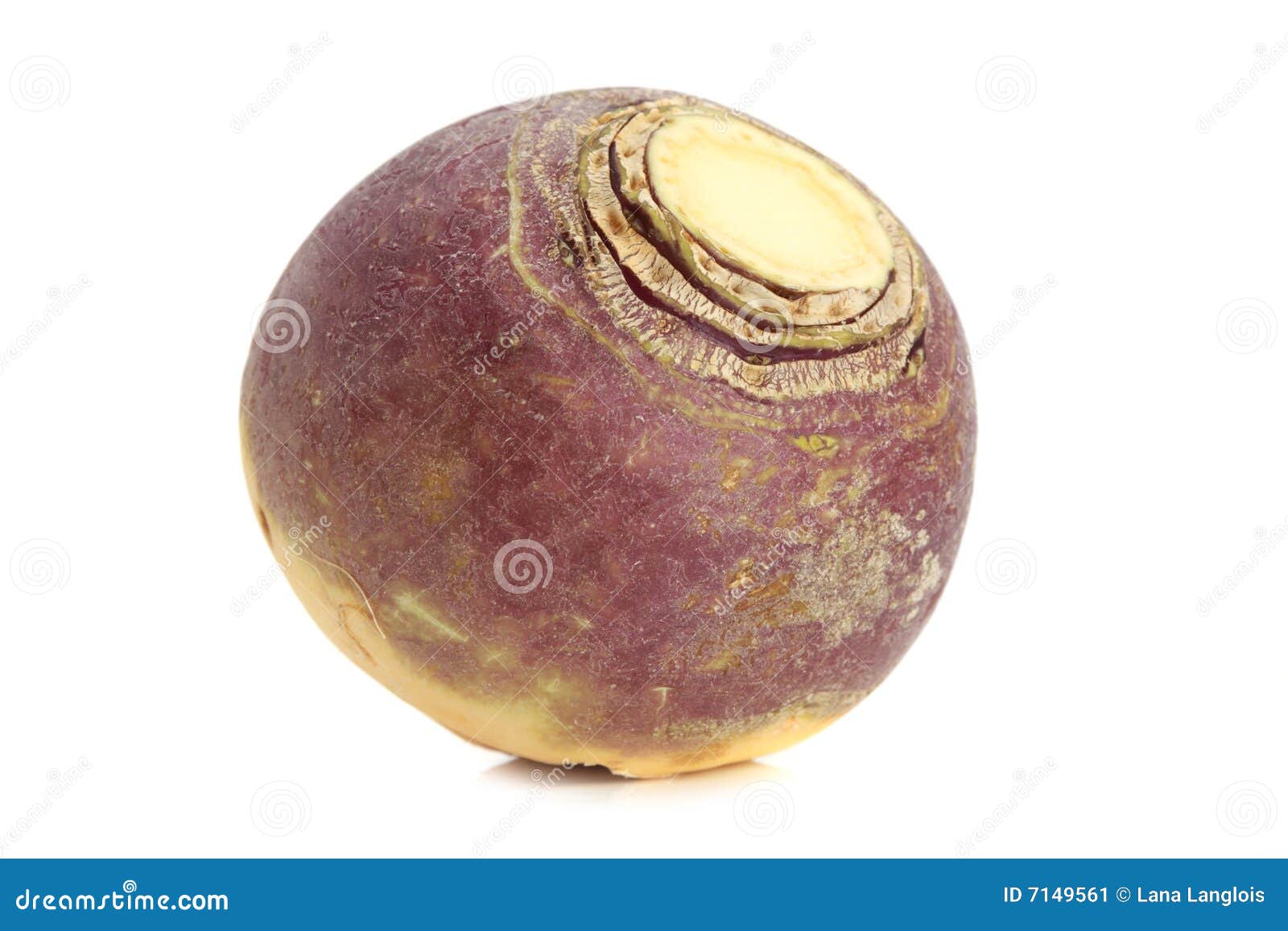 8,251 Raw Turnip Stock Photos - Free & Royalty-Free Stock Photos from ...