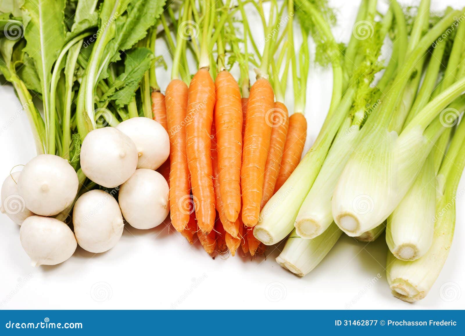 Turnip, Carrot and Celery from Garden Stock Image - Image of ...
