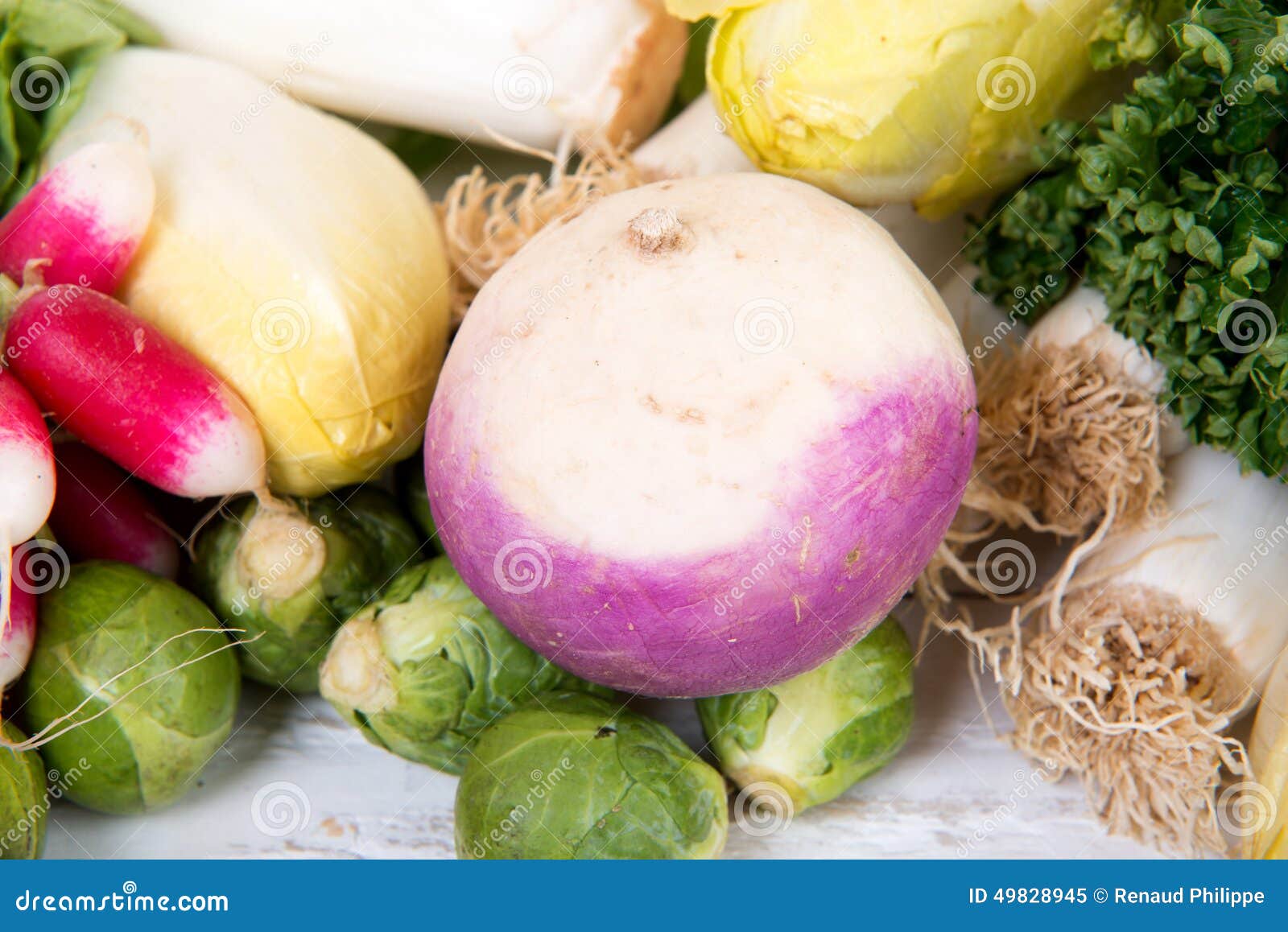 Turnip stock image. Image of plant, lifestyle, purple - 49828945