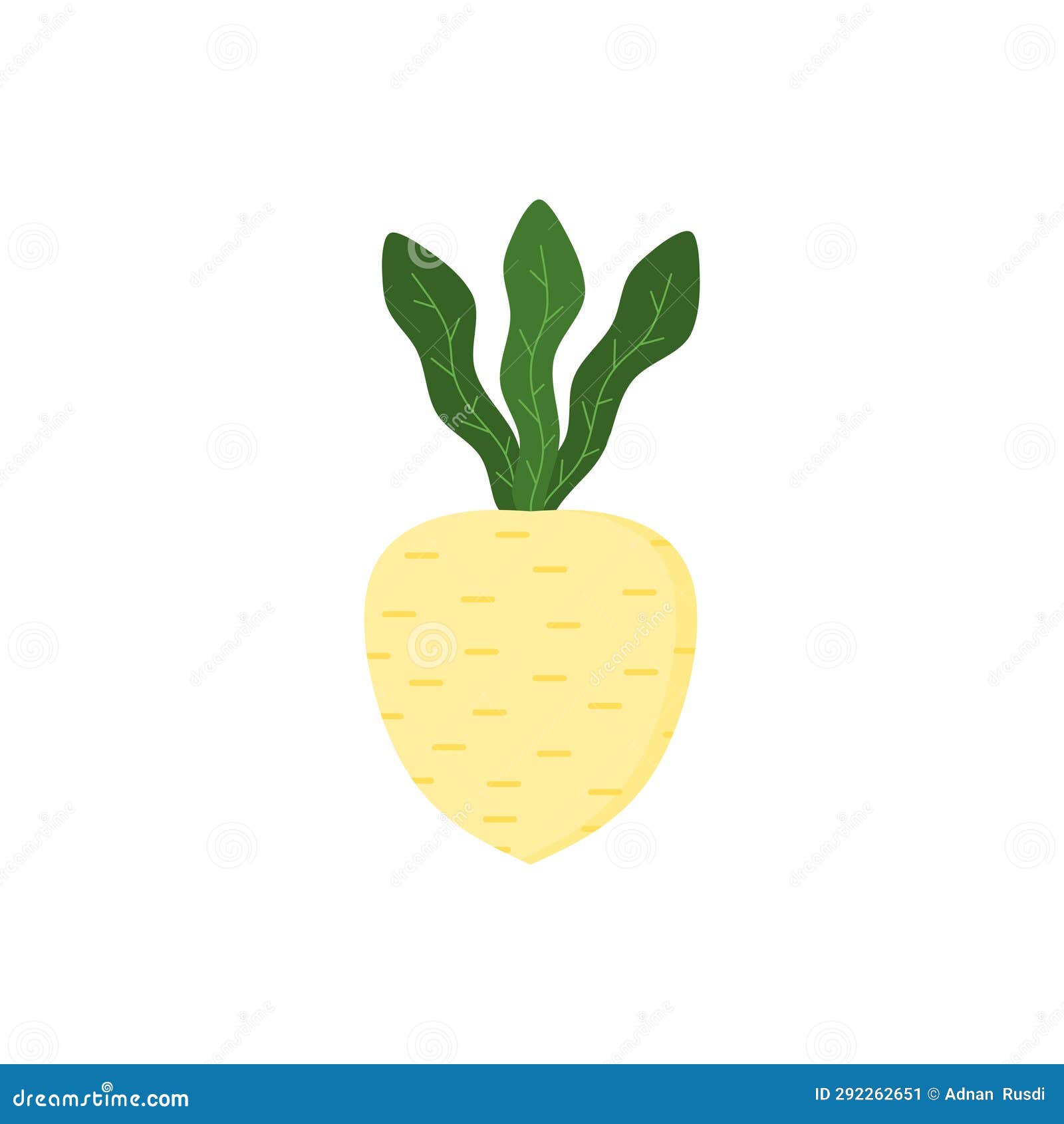 Turnip Flat Design Vector Illustration Stock Illustration ...