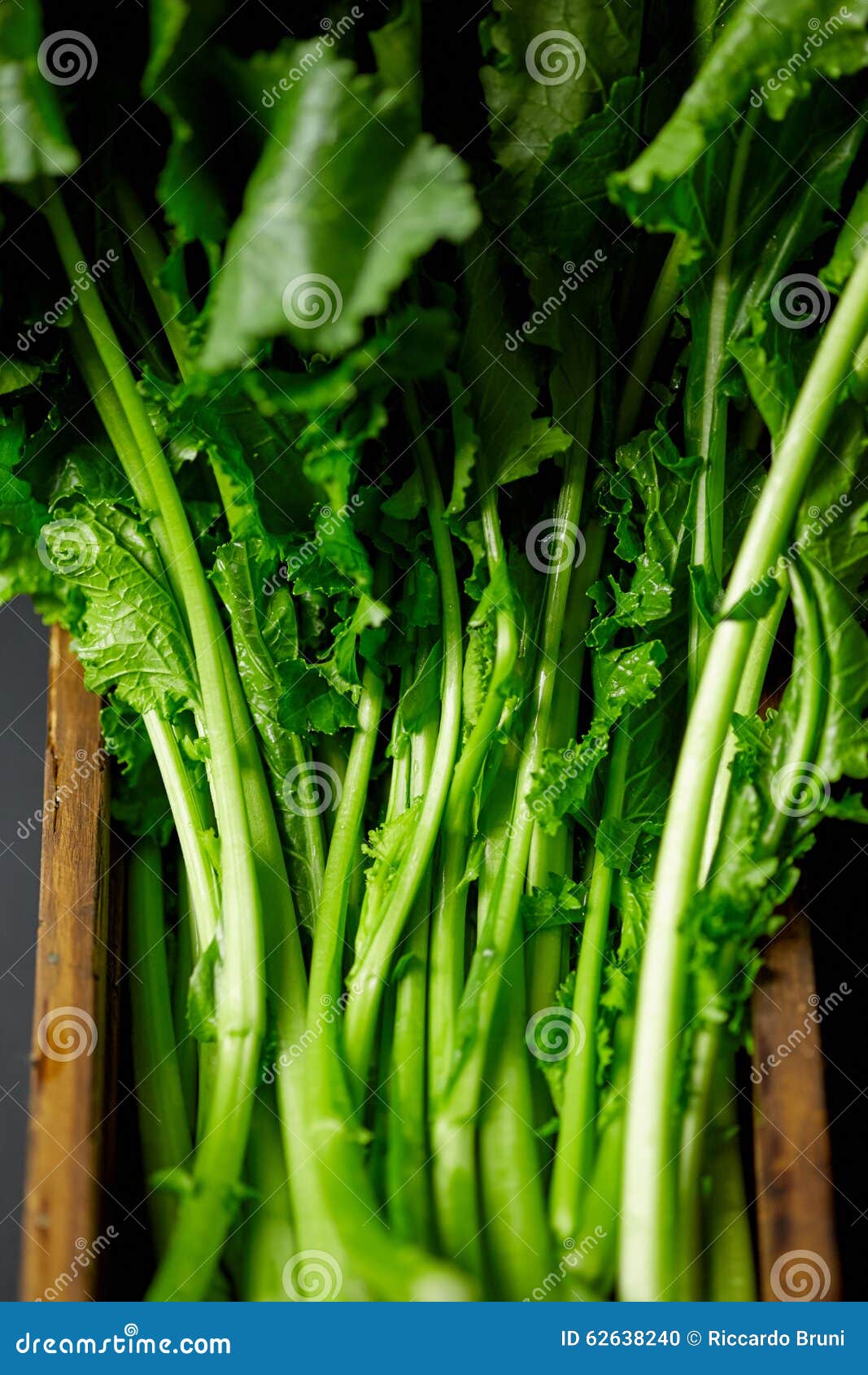 Turnip greens stock photo. Image of green, cornbread - 62638240