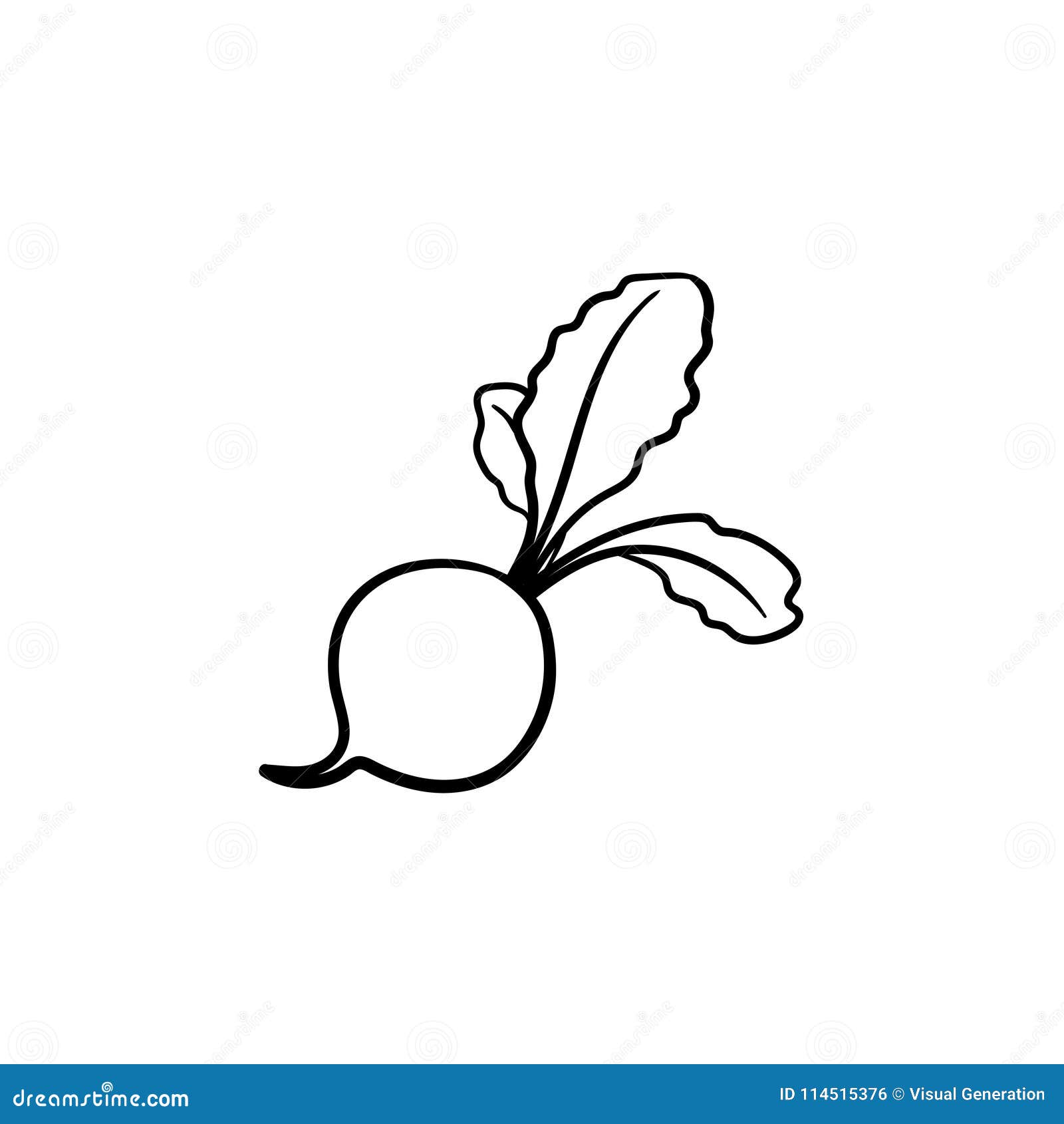 Turnip Sketch Clipart Black And White. Linear And Outline Vector ... Turnip Sketch Clipart Black And White. Linear And Outline Vector ...
