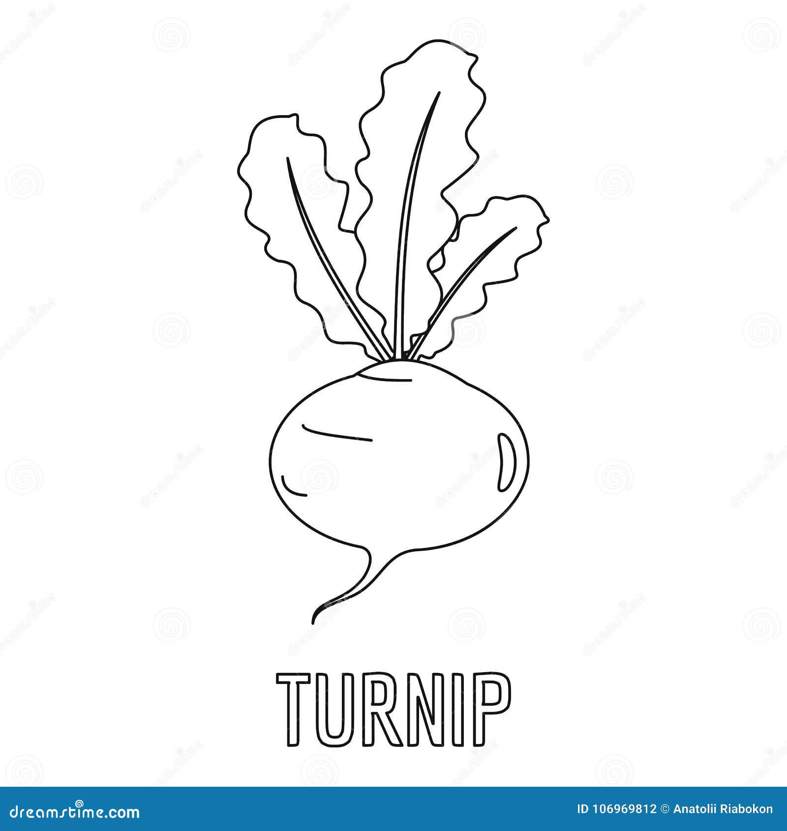 Turnip Icon, Outline Style. Stock Vector - Illustration of thin, root ...