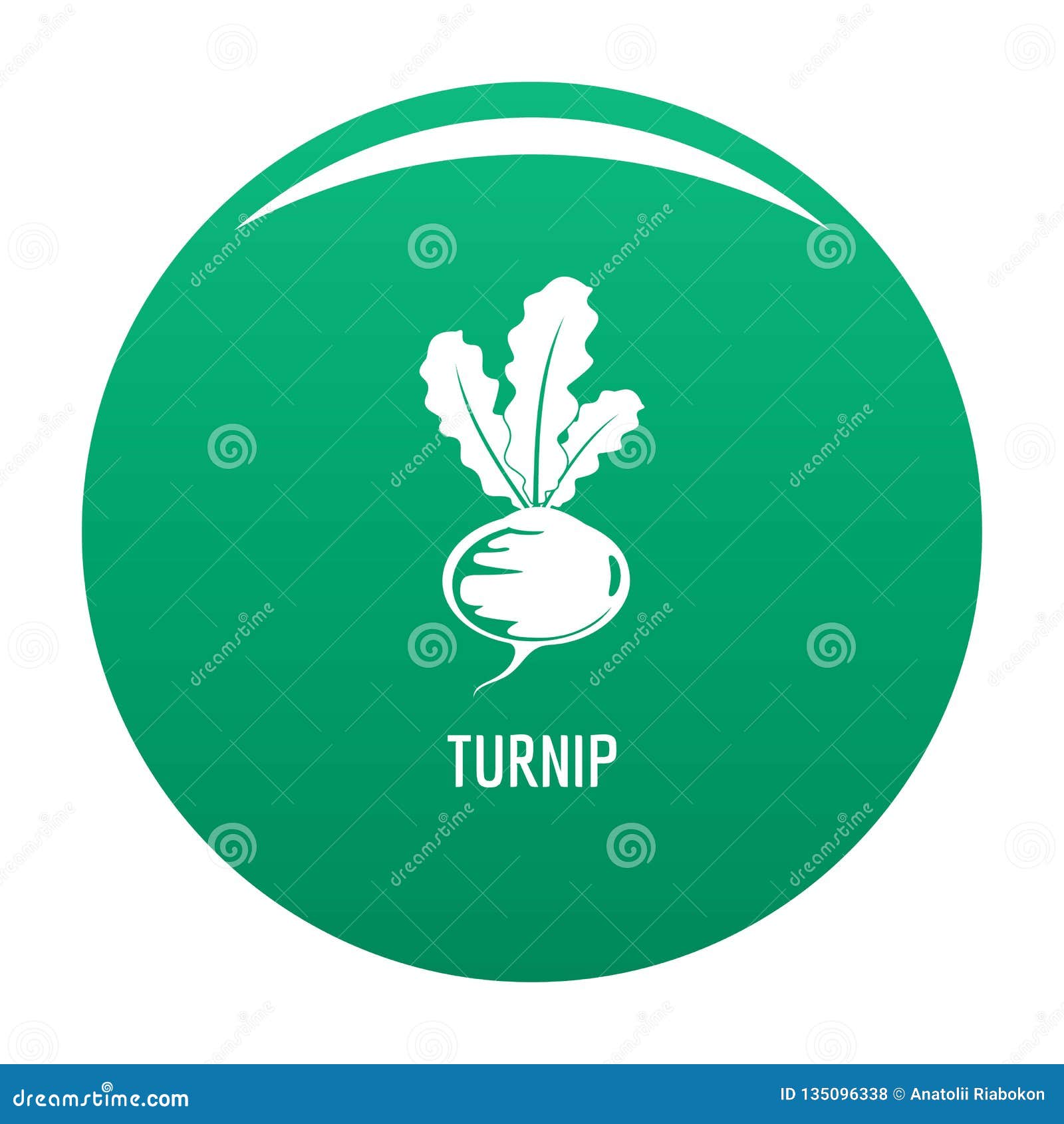 Turnip icon vector green stock vector. Illustration of beetroot - 135096338