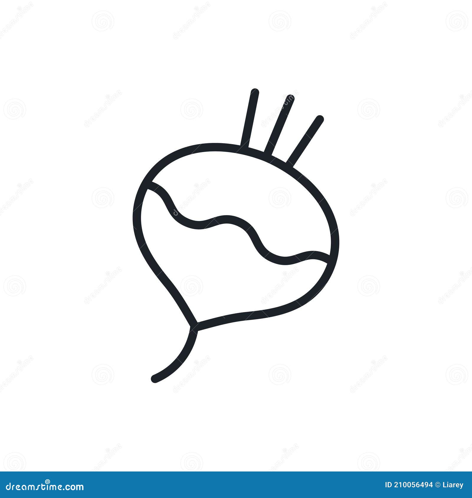 Turnip Icon. Vector Linear Icon, Contour, Shape, Outline Isolated on a ...