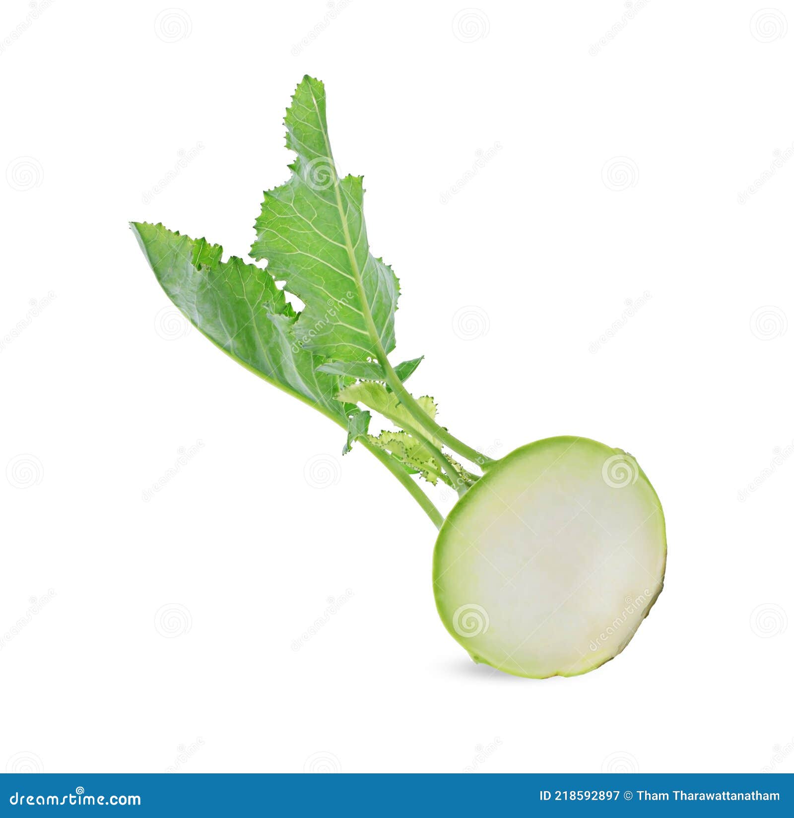 Turnip Isolated on a White Background Stock Image - Image of crucifers ...