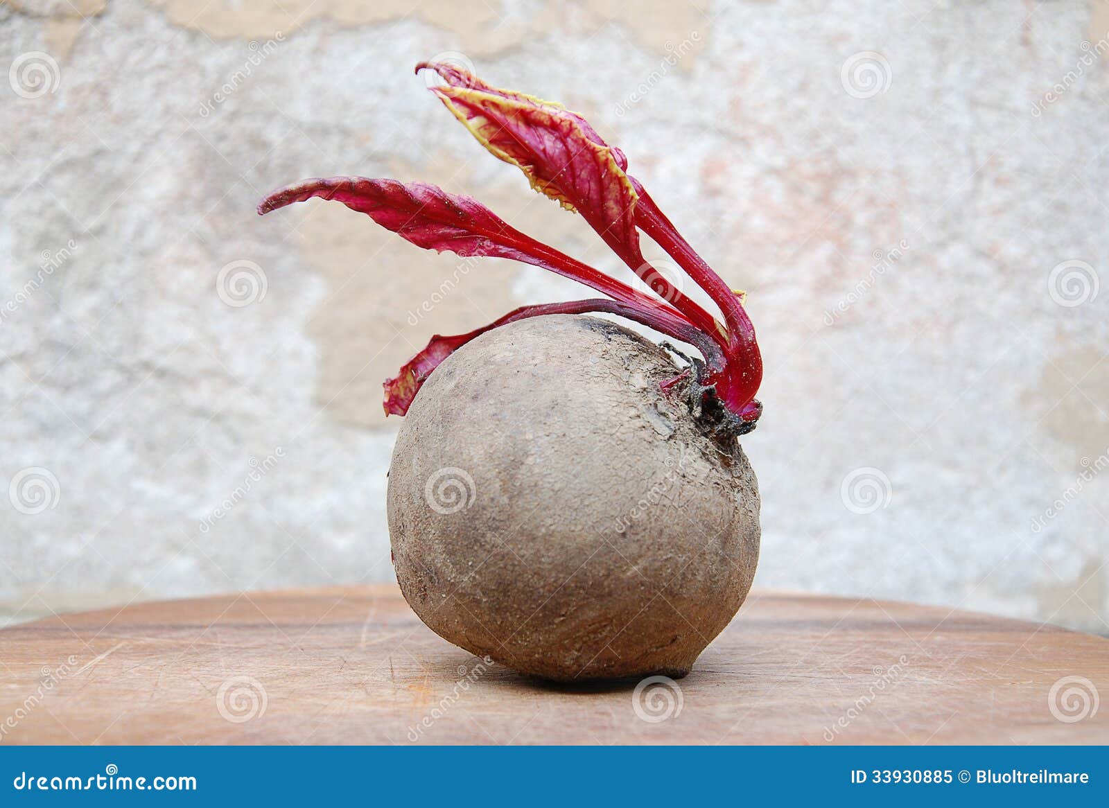 Turnip single stock image. Image of diet, organic, beet - 33930885