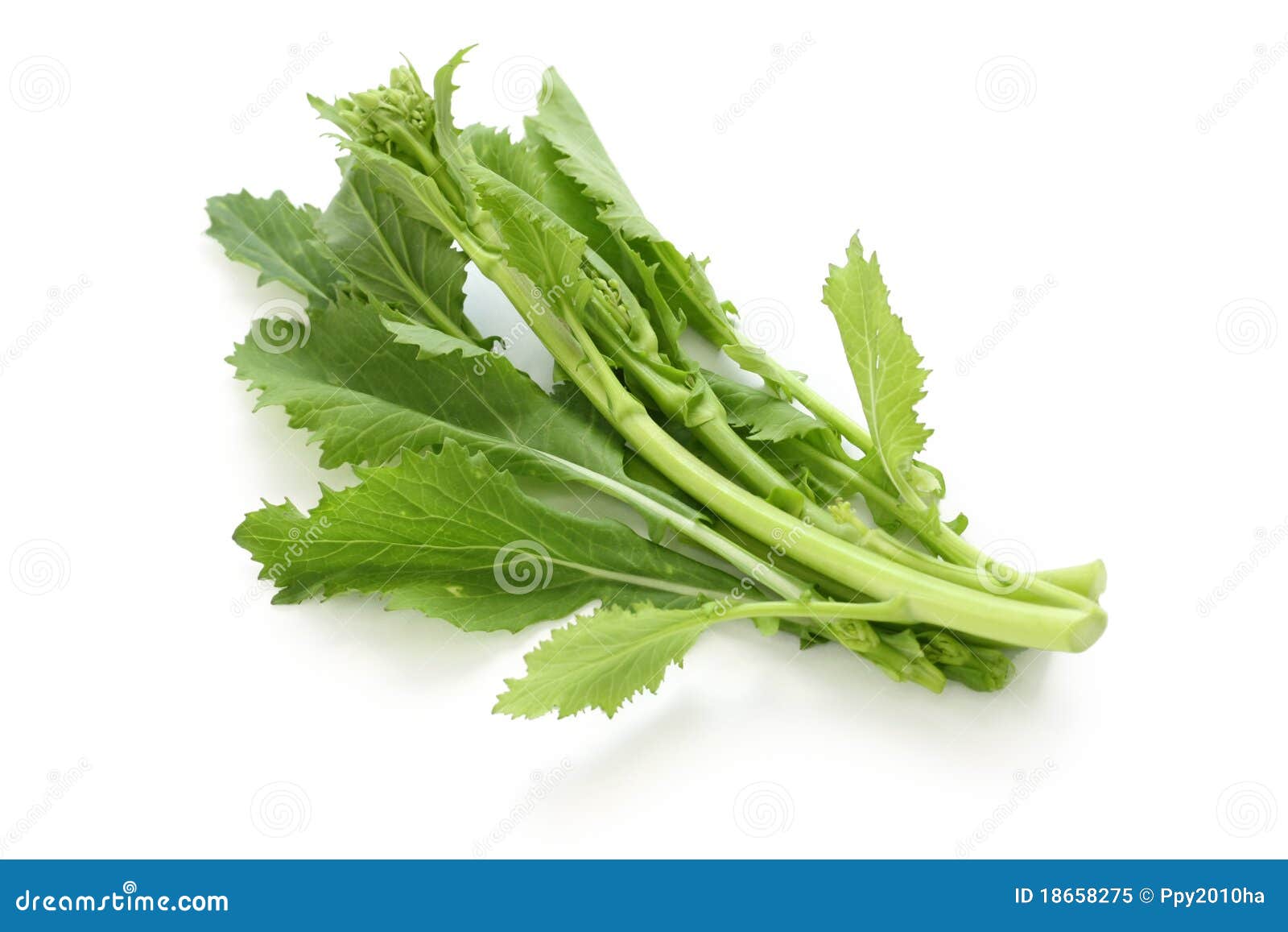 Rapa Nui Man Royalty-Free Stock Image | CartoonDealer.com #17657392