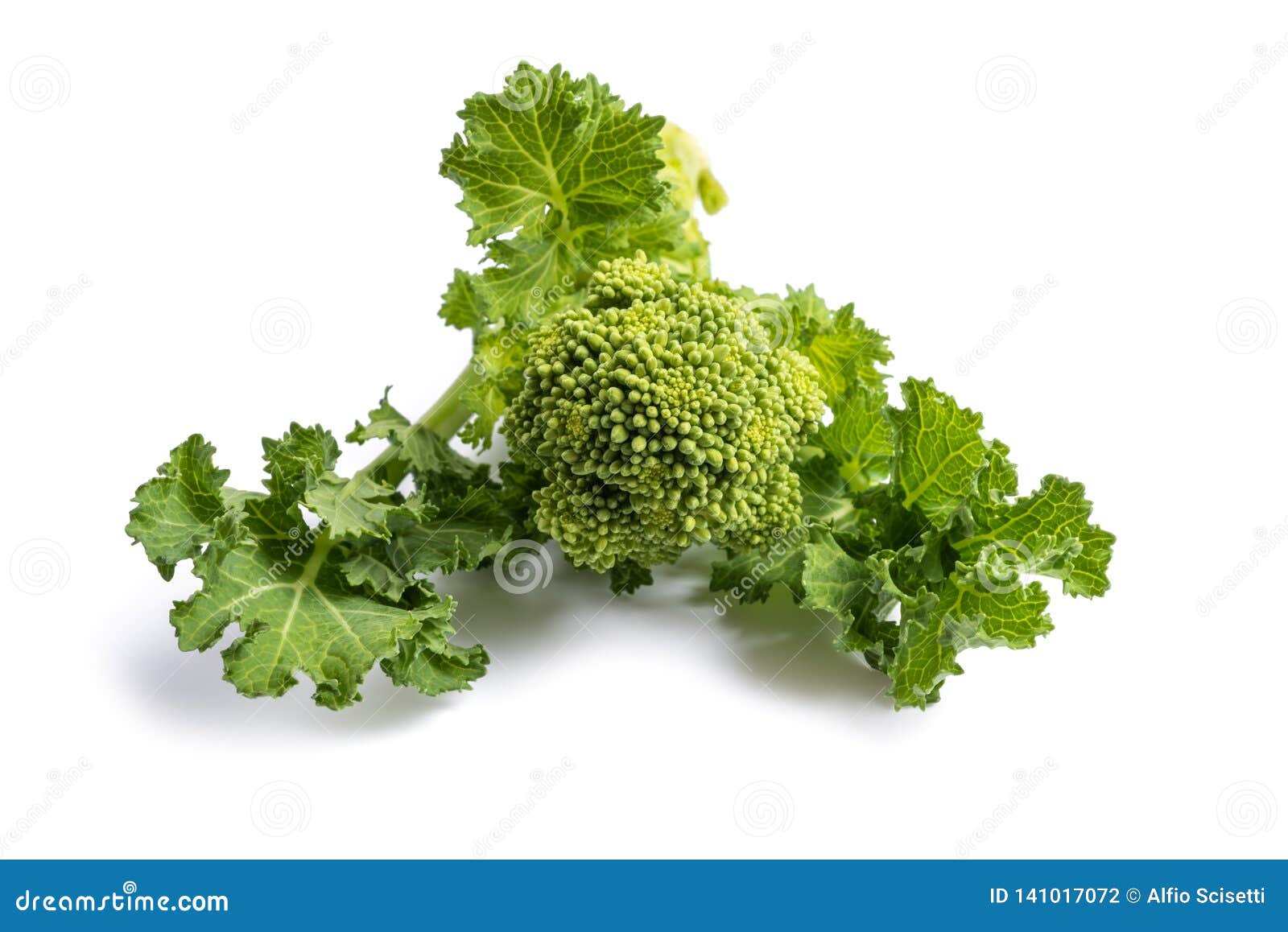 Turnip tops stock photo. Image of greens, rutabaga, leaves - 141017072