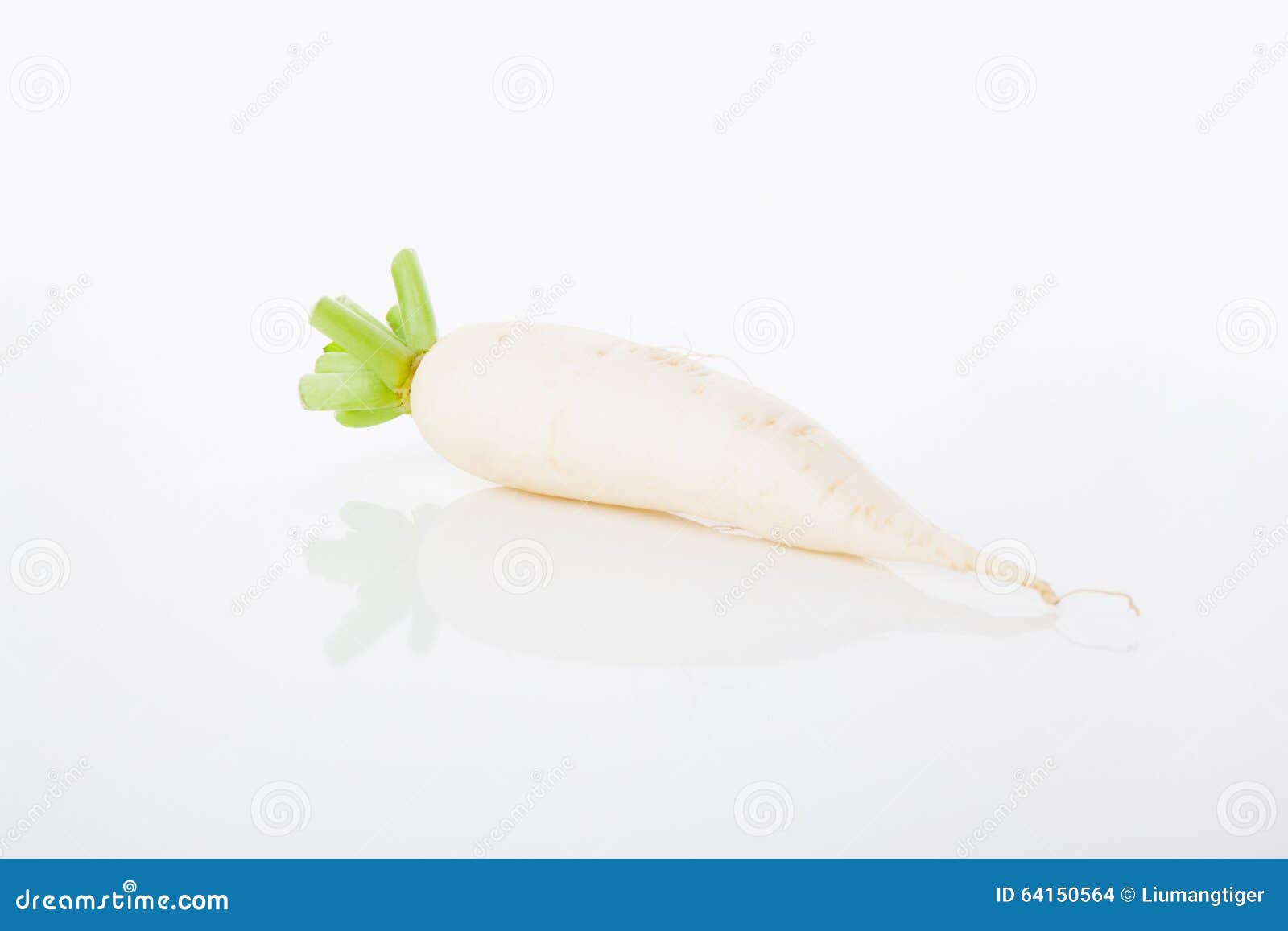 A Turnip in White Background Stock Photo - Image of ingredient, turnip ...