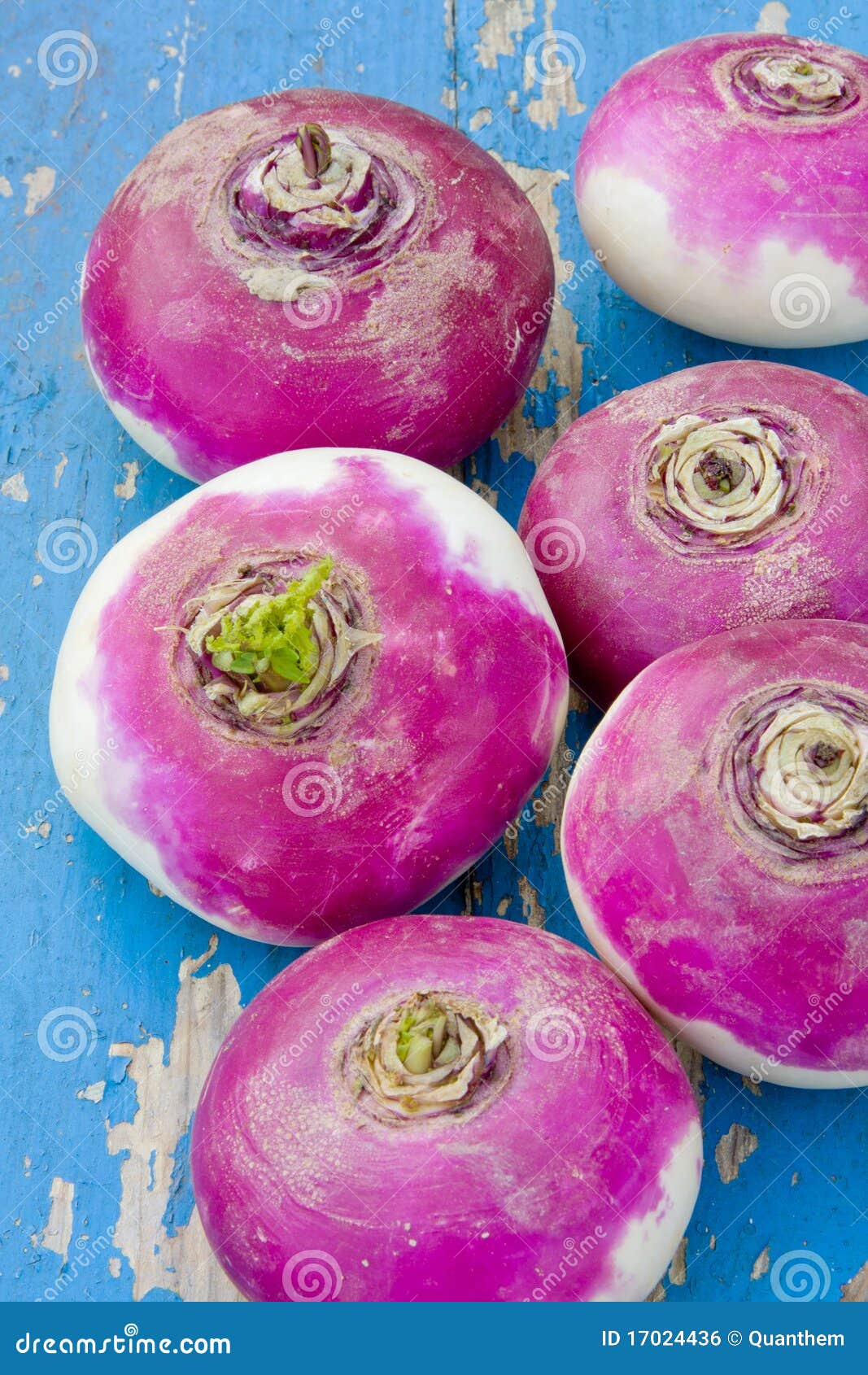 Turnips stock photo. Image of food, color, root, objects - 17024436