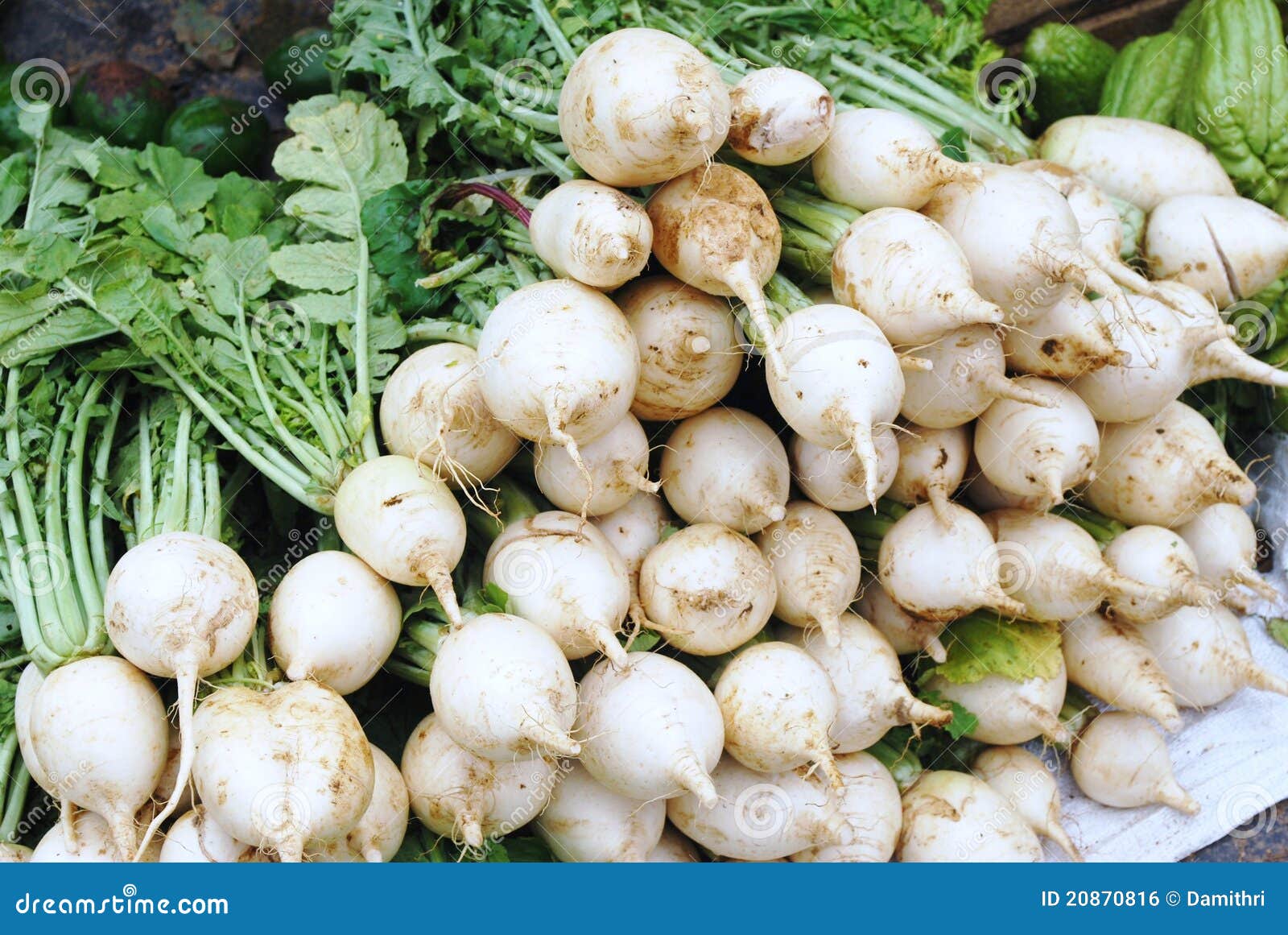 Turnips stock photo. Image of pile, vegetable, green - 20870816