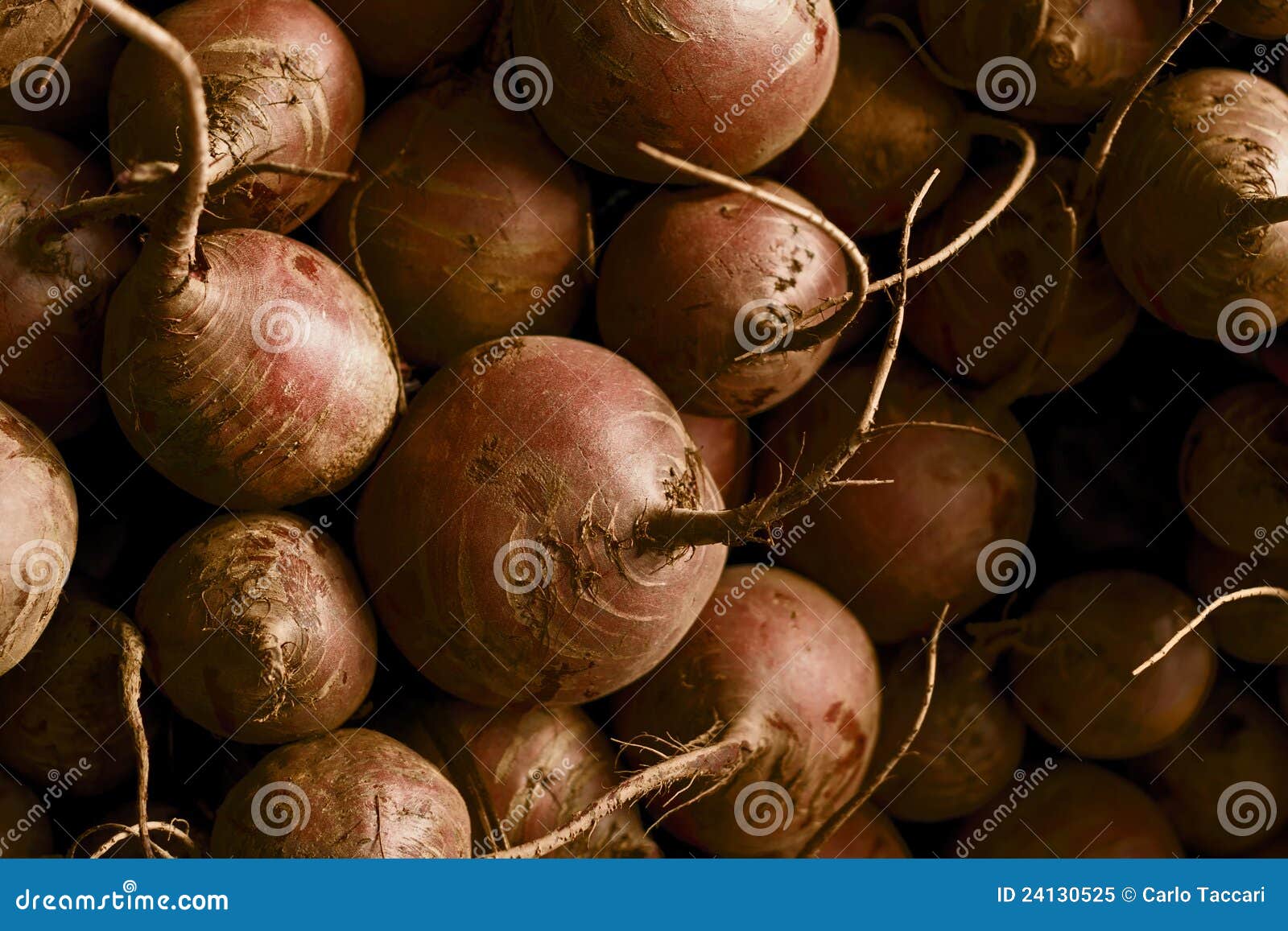 Turnips stock image. Image of stacked, objects, background - 24130525