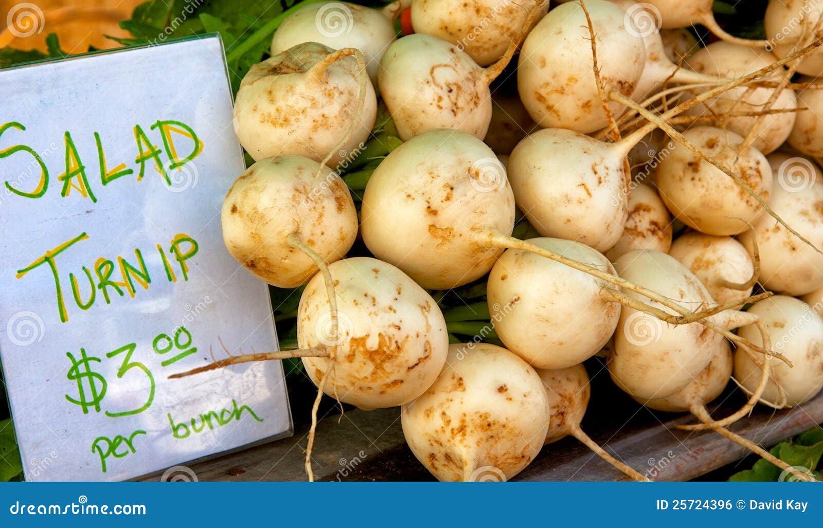 Turnips stock photo. Image of cook, harvest, turnip, fresh - 25724396