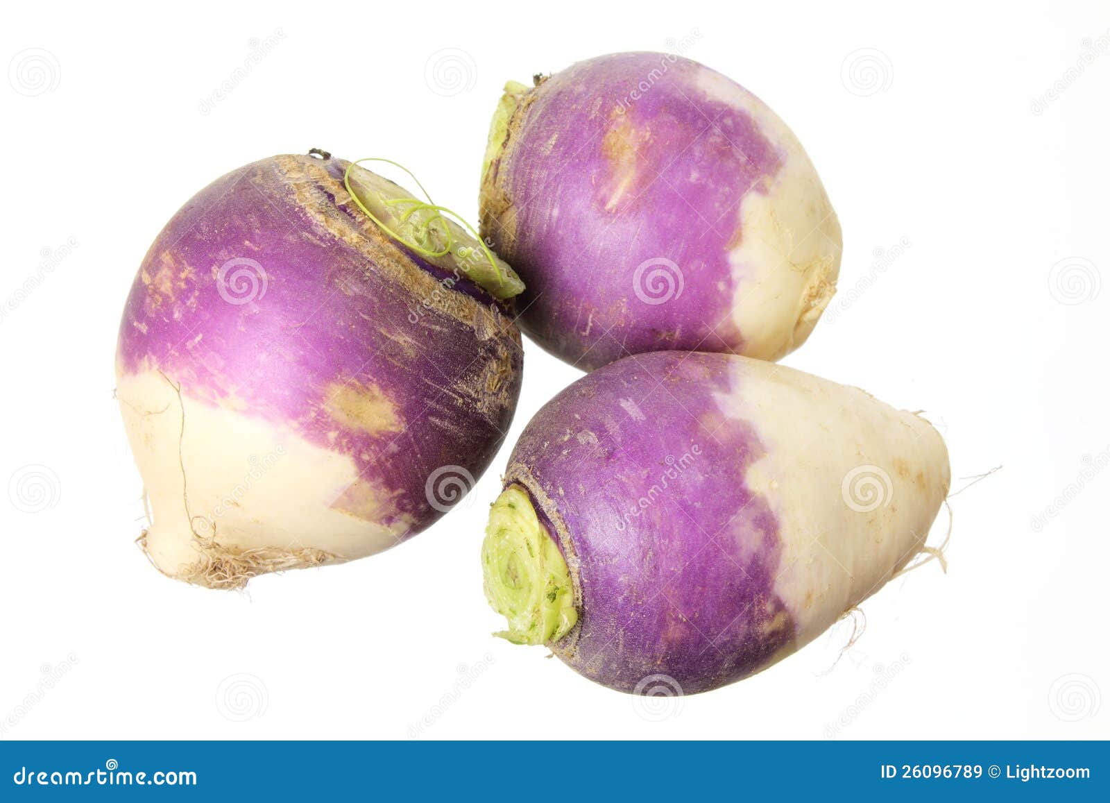 Turnips stock image. Image of background, still, isolated - 26096789