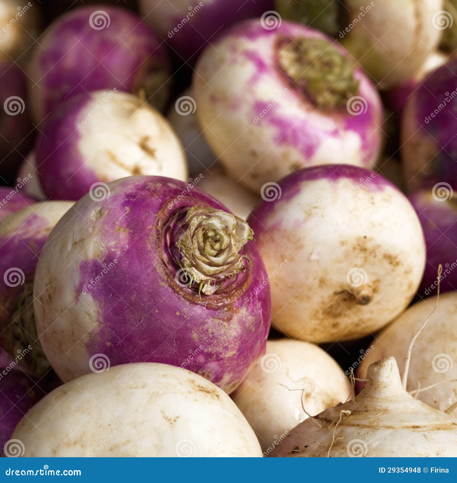 Turnips stock photo. Image of agriculture, street, retail - 29354948