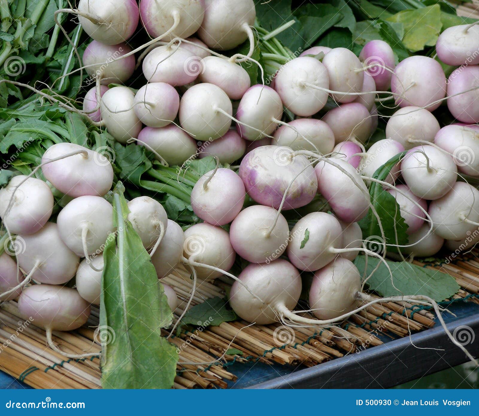 Turnips stock photo. Image of cooking, vegetables, turnips - 500930