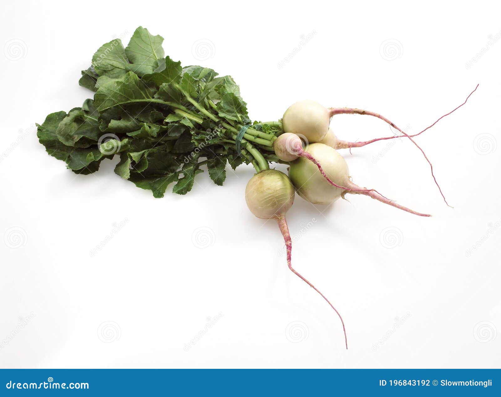 Turnips, Brassica Rapa, Vegetables Against White Background Stock Photo ...