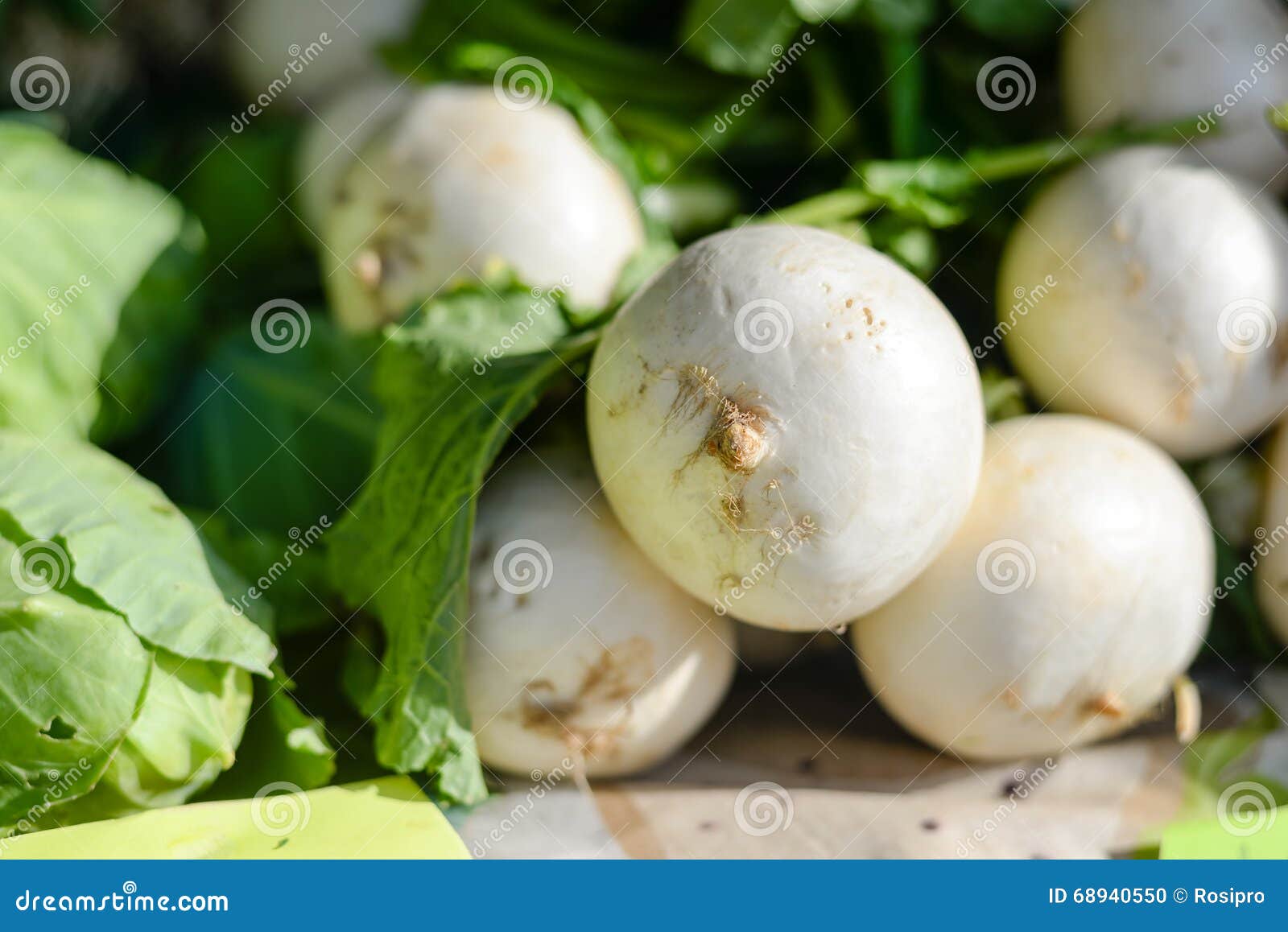 Turnips on Display at the Farmers Market Stock Photo - Image of grocery ...