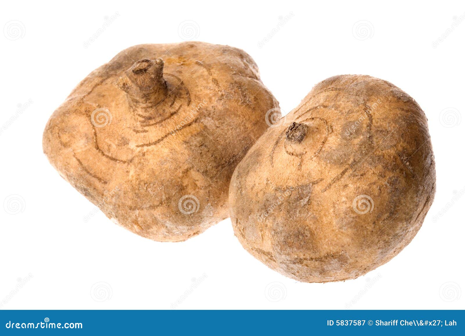 Turnips Isolated stock image. Image of food, close, vegetarian - 5837587