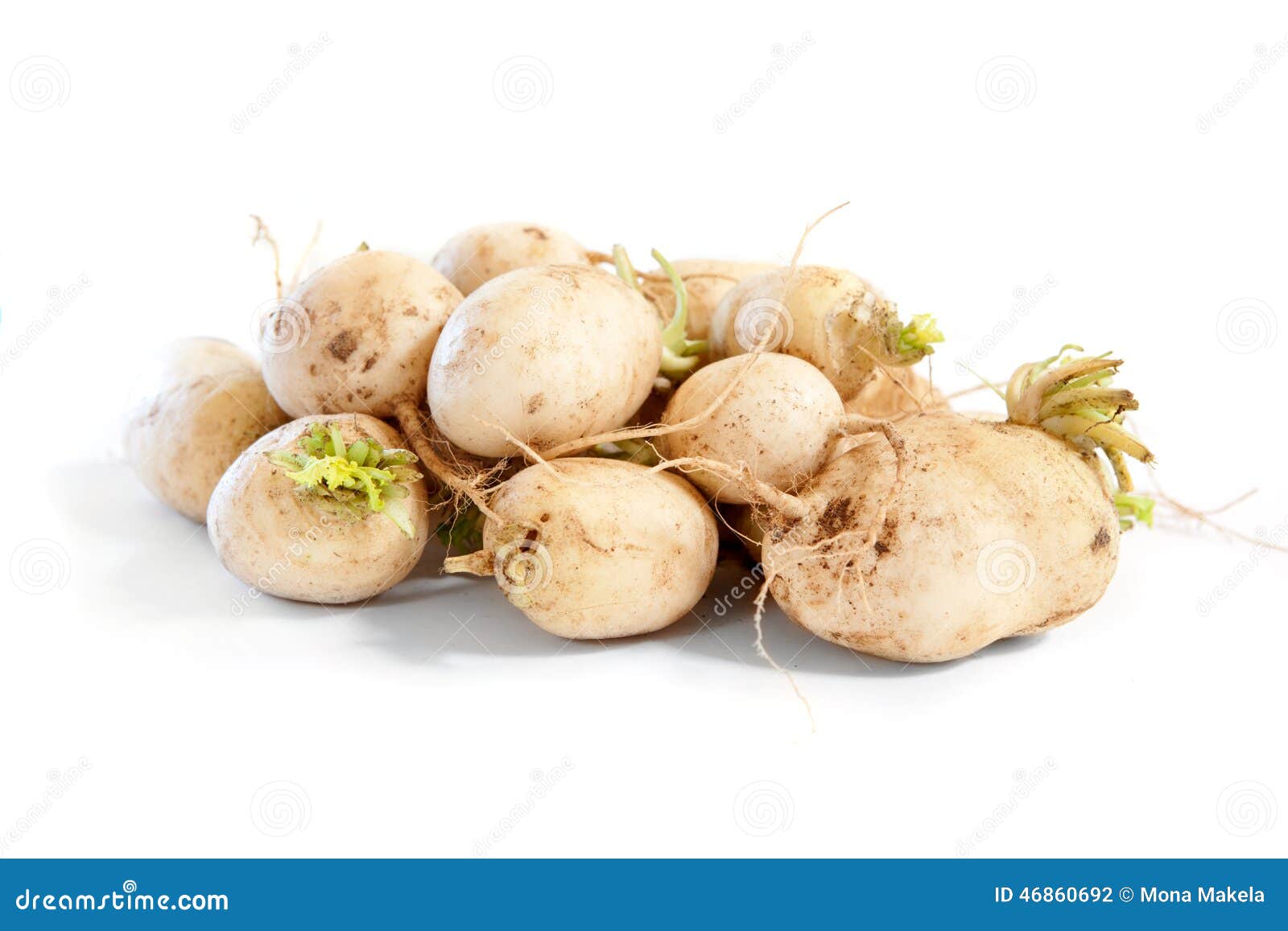 Turnips on white stock photo. Image of background, healthy - 46860692