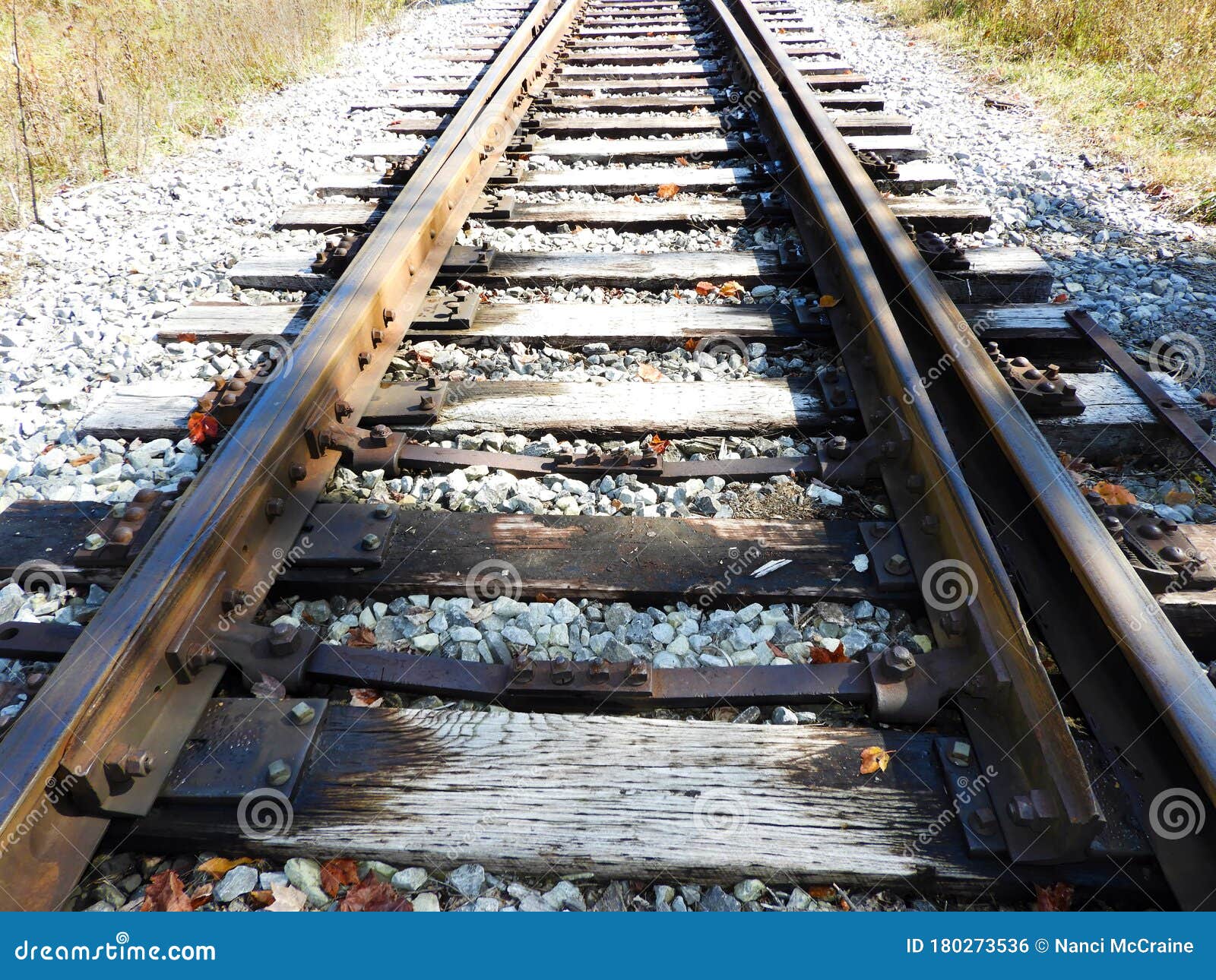 Turnout Rail Points on Train Track Railroad at Big Moose Stock Photo ...