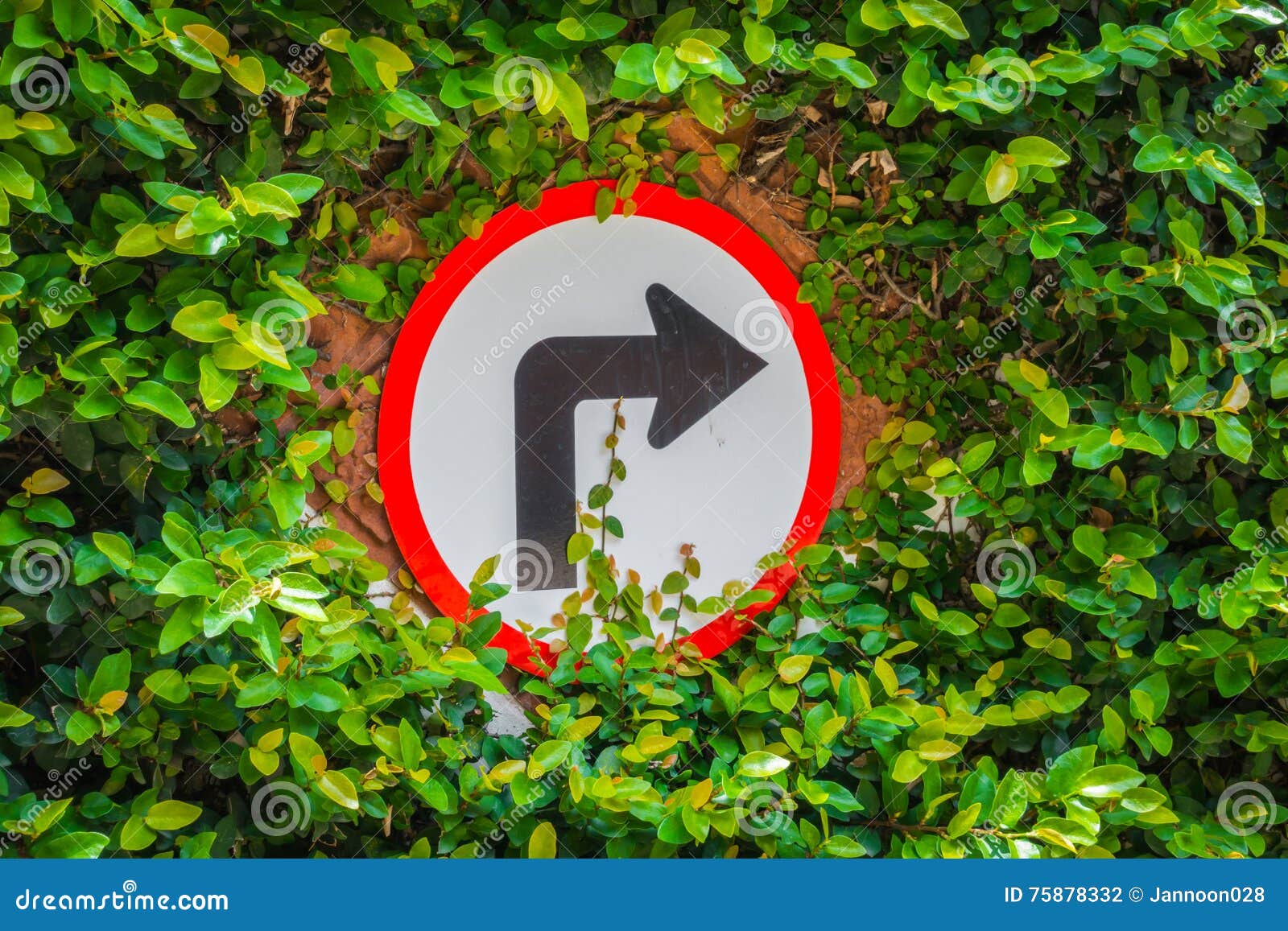 .Turns To the Right Sign with Green Leaf Stock Photo - Image of lake ...