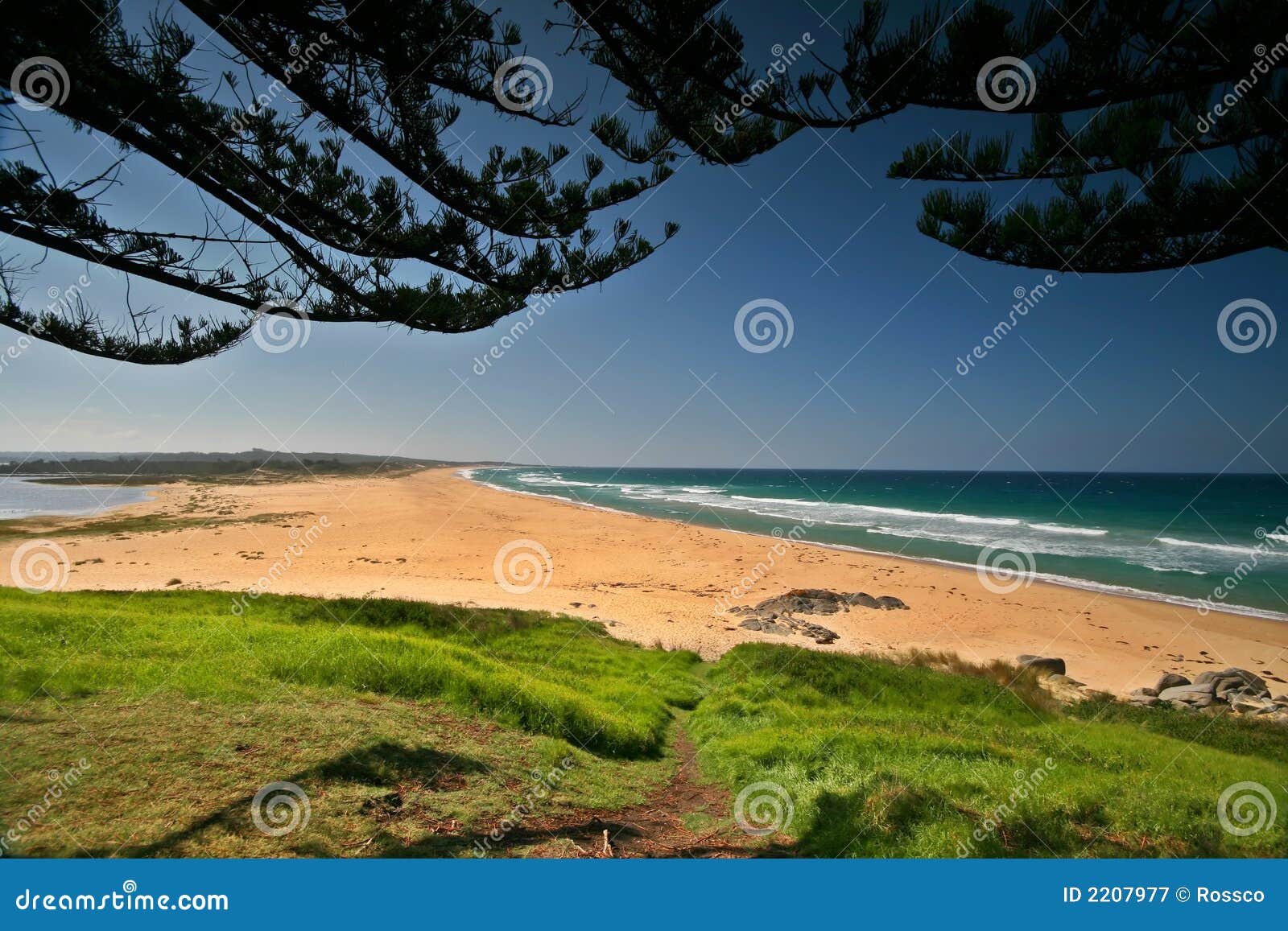 Tuross Heads Australian Beach Stock Image - Image of long, grass: 2207977