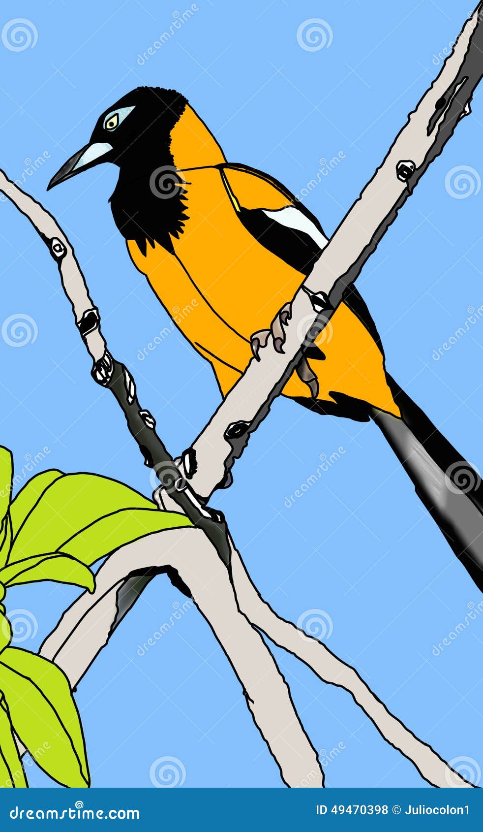 Turpial Illustration stock illustration. Illustration of turpial - 49470398